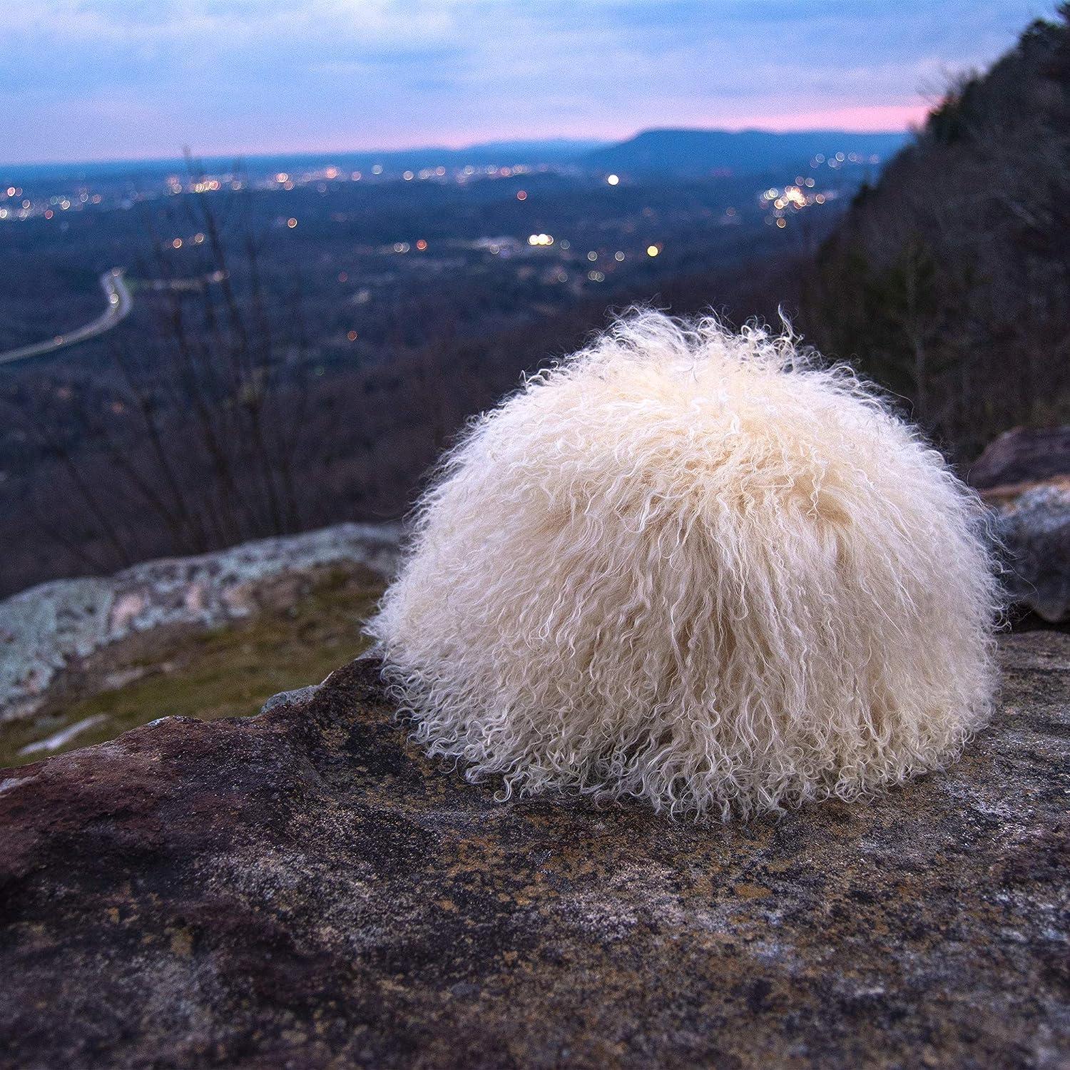 Khabib Nurmagomedov Sheepskin Papakha Hat - Authentic Dagestan Russian ...