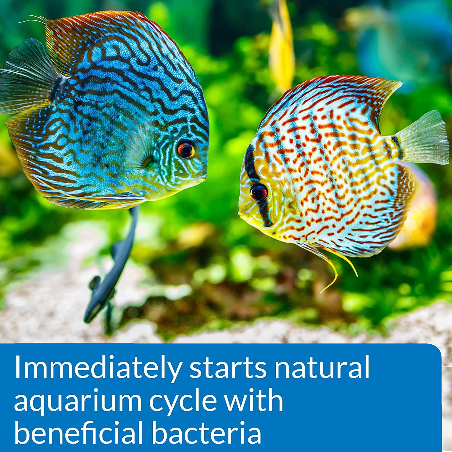 API Quick Start Nitrifying Bacteria â€“ Freshwater & Saltwater Aquarium ...