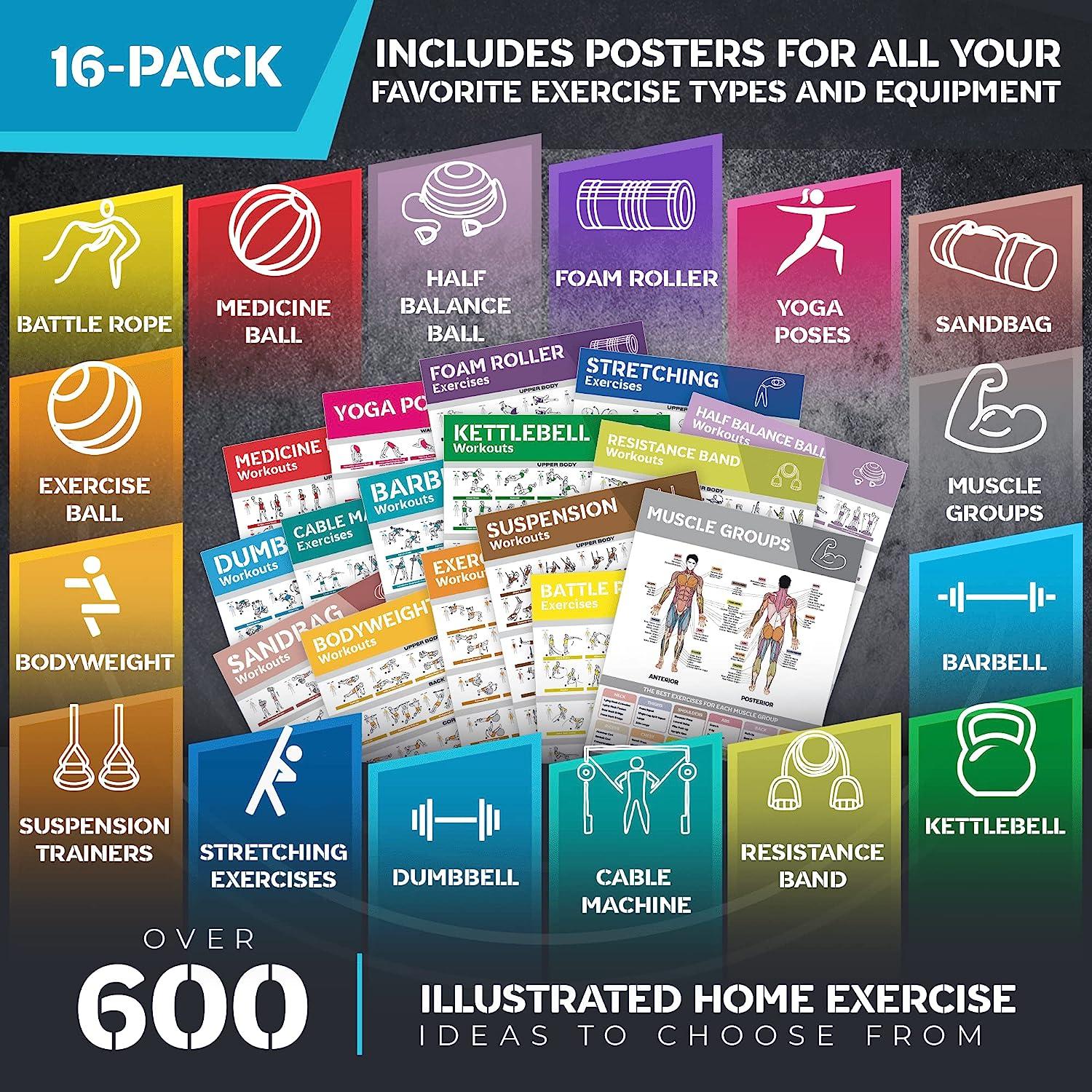 16-Pack Large Workout Poster Set - Dumbbell, Yoga, Resistance Band ...