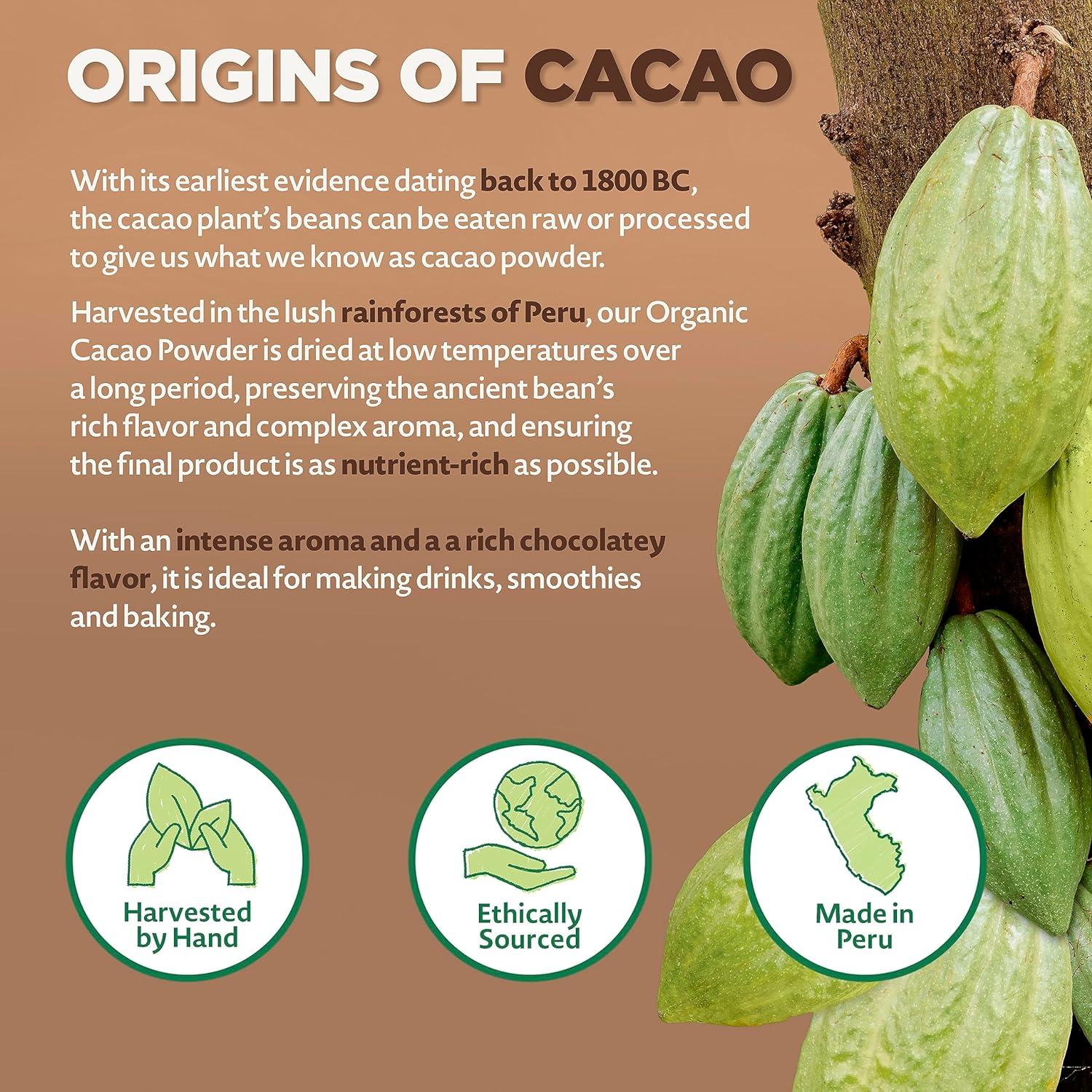 Organic Peruvian Cacao Powder 1kg - Raw & Pure from Theobroma Cacao ...