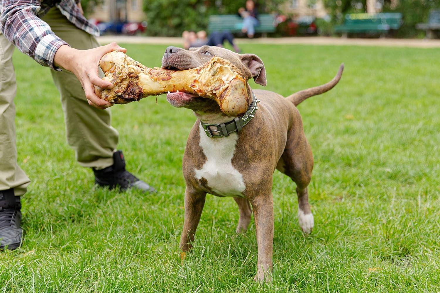 Buy Irish Premium Beef Chewing Bones for Dogs | Cereal-Free & Sensitive ...