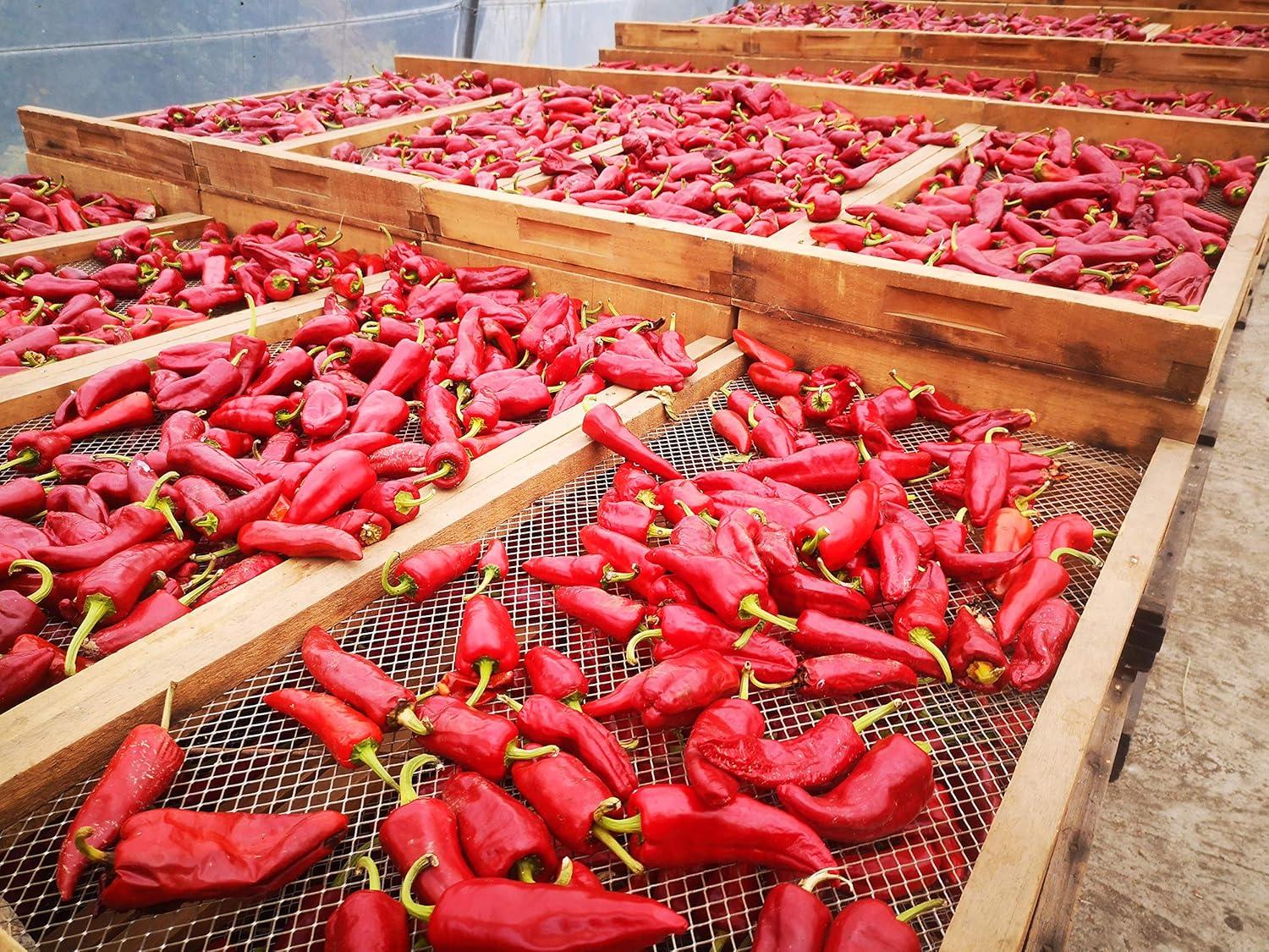 Buy Boomers Gourmet Piment d'Espelette AOP Darguy Chili Powder - 2 ...