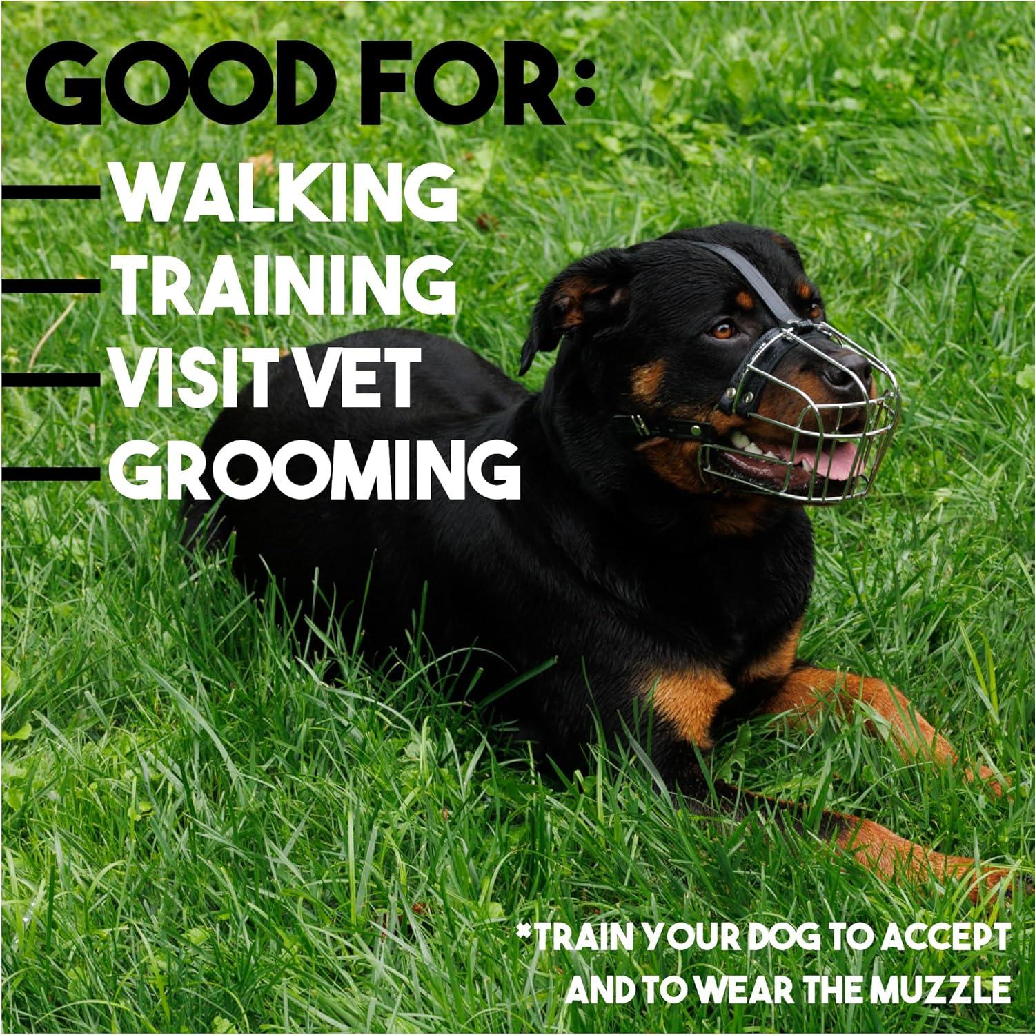 Bronzedog Rottweiler Dog Muzzle - Adjustable Durable Metal Wire Basket ...