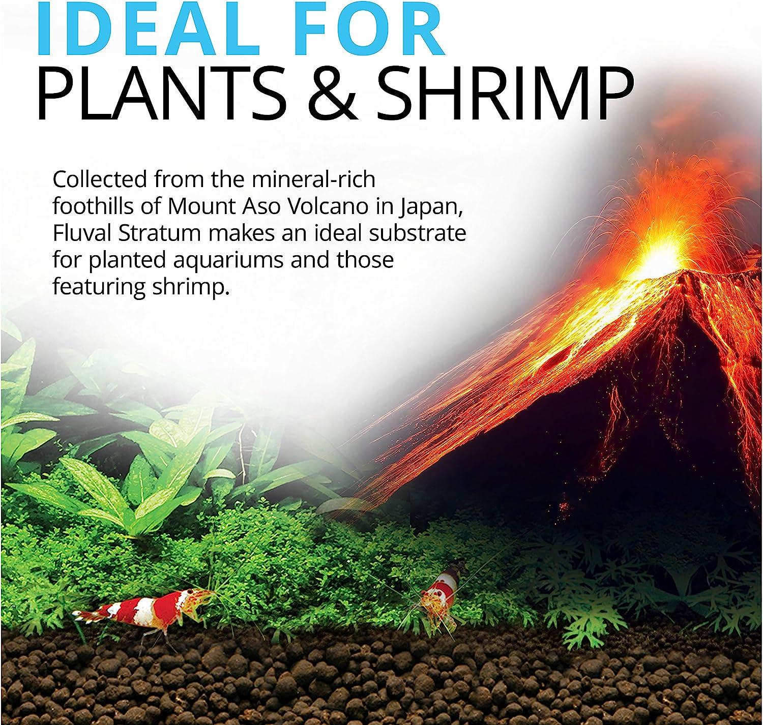 Fluval Plant and Shrimp Stratum Aquarium Planting Substrate Dark Brown ...