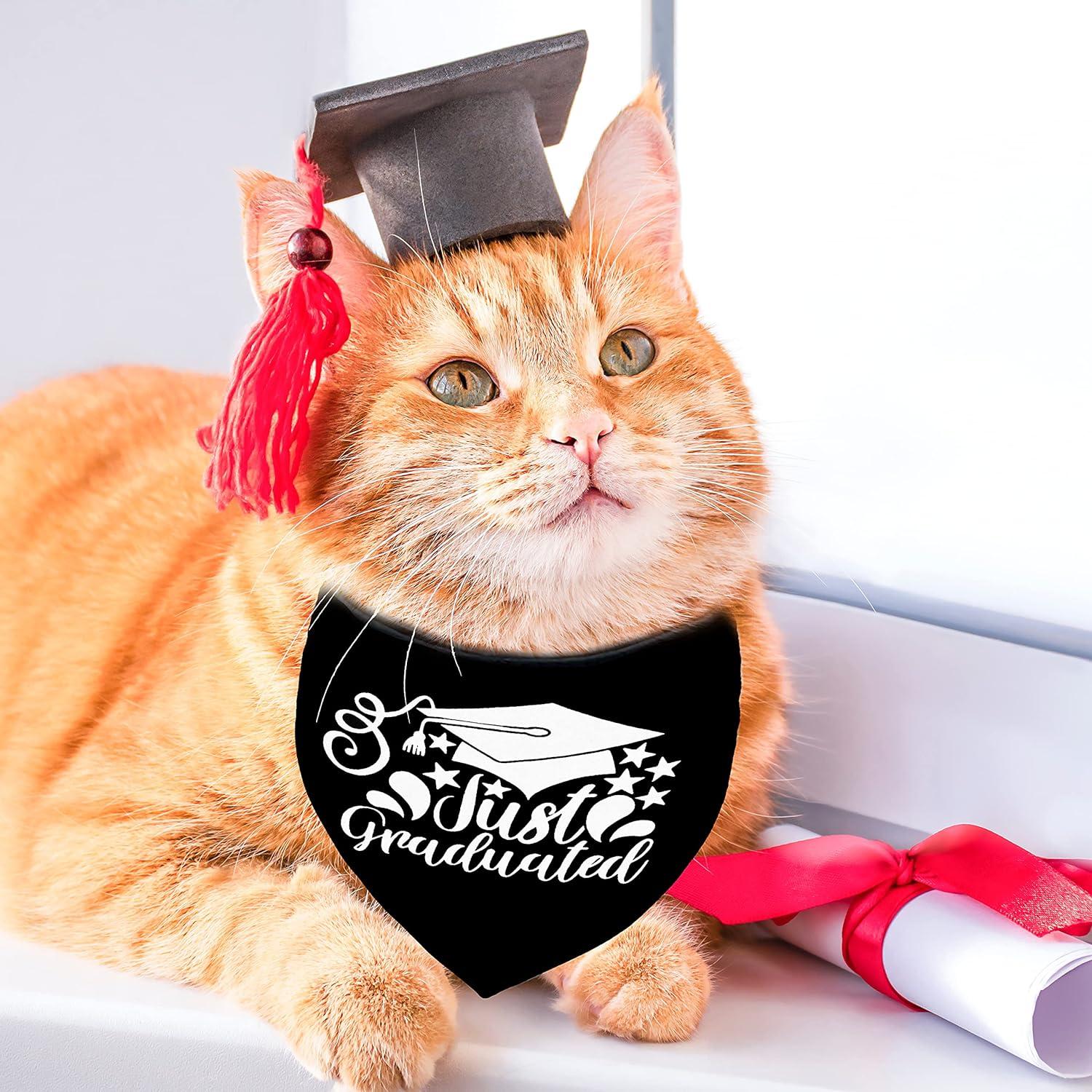 Proud of Mom Graduation Bandana 2 Pack for Dogs and Cats - Large Proud ...