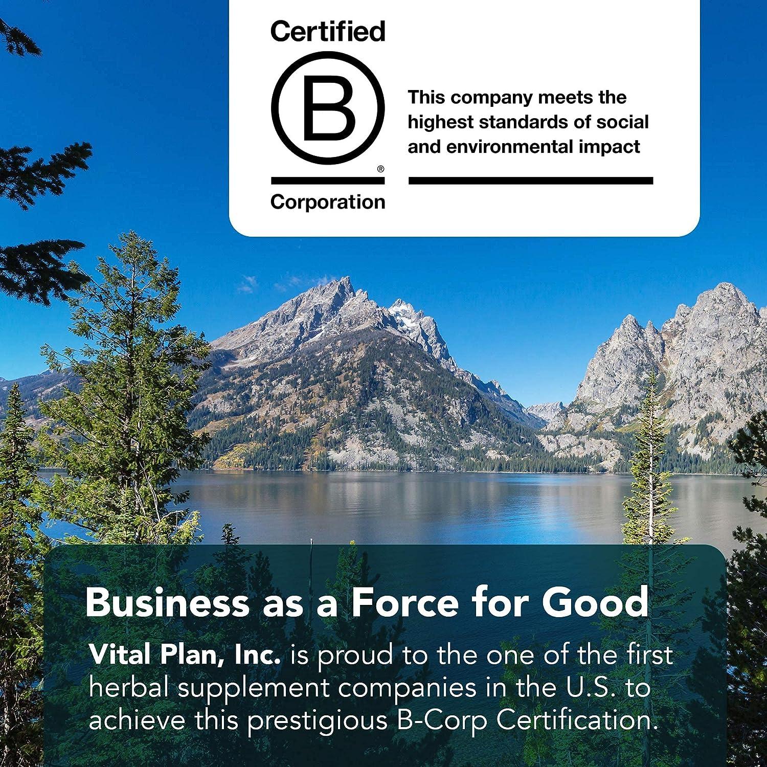 Vital Plan Joint Care Supplement by Dr. Bill Rawls Shellfish Free ...