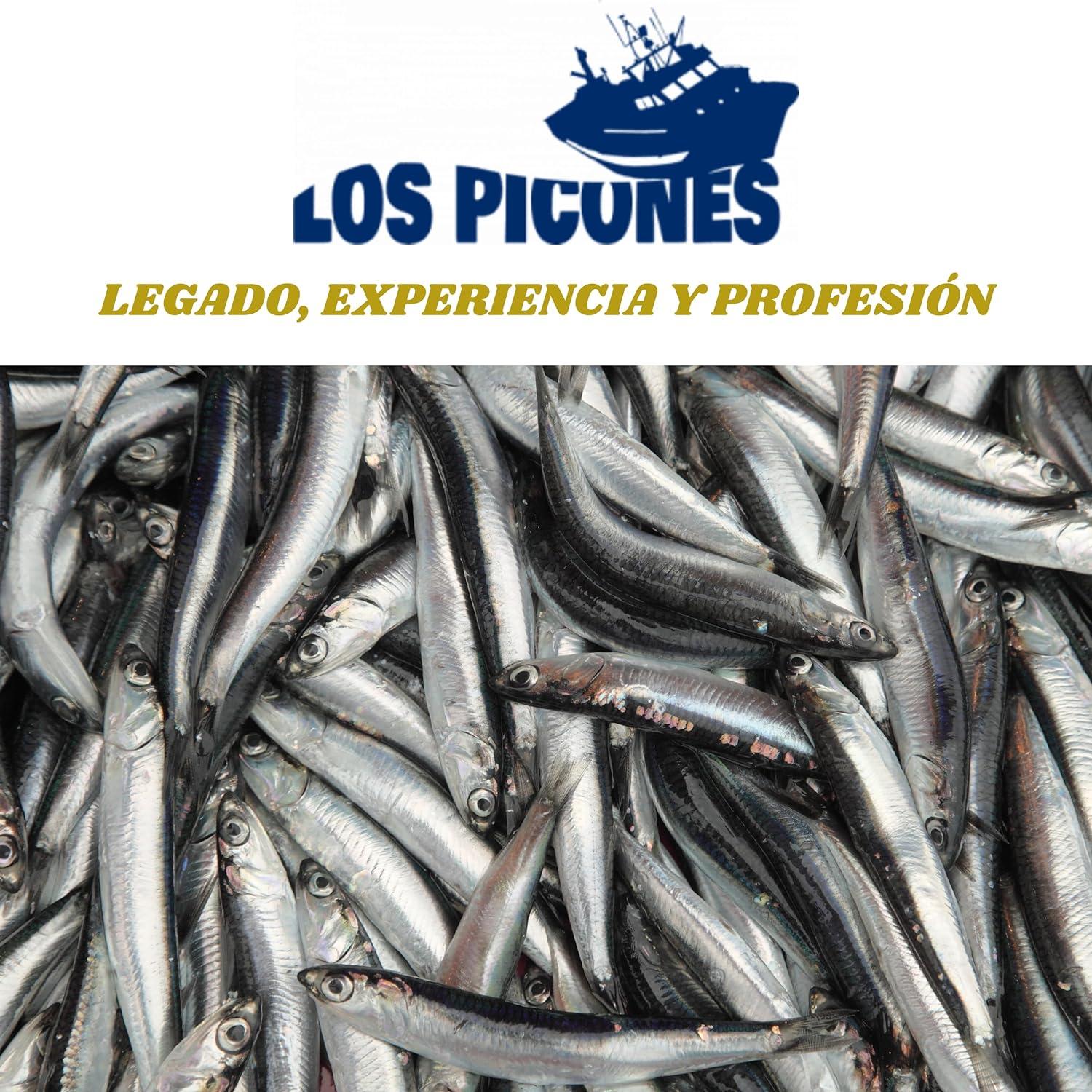 Los Picones Gourmet Premium Anchovies from the Cantabrian XL Pack of 3 ...