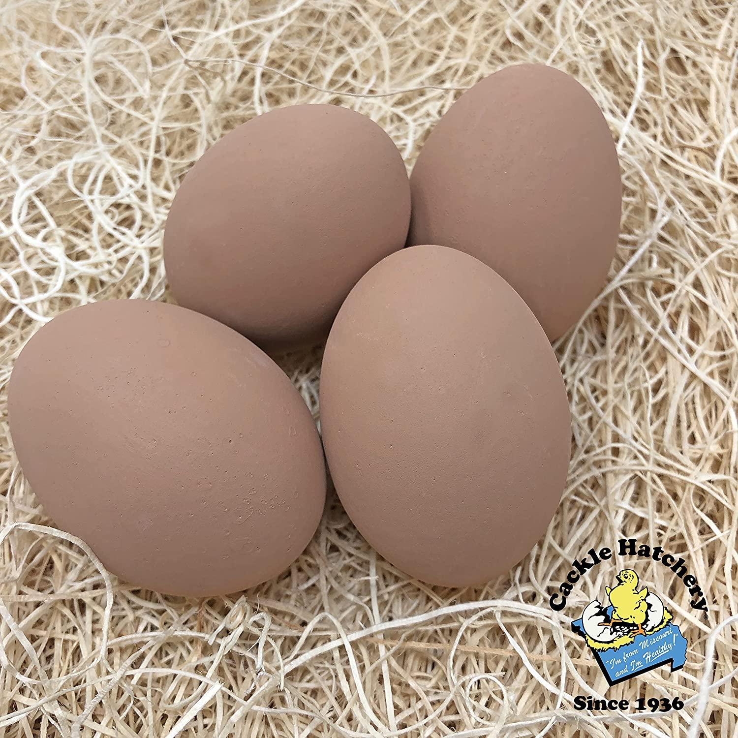 Cackle Hatchery Ceramic Nest Eggs 4ct 4 Brown
