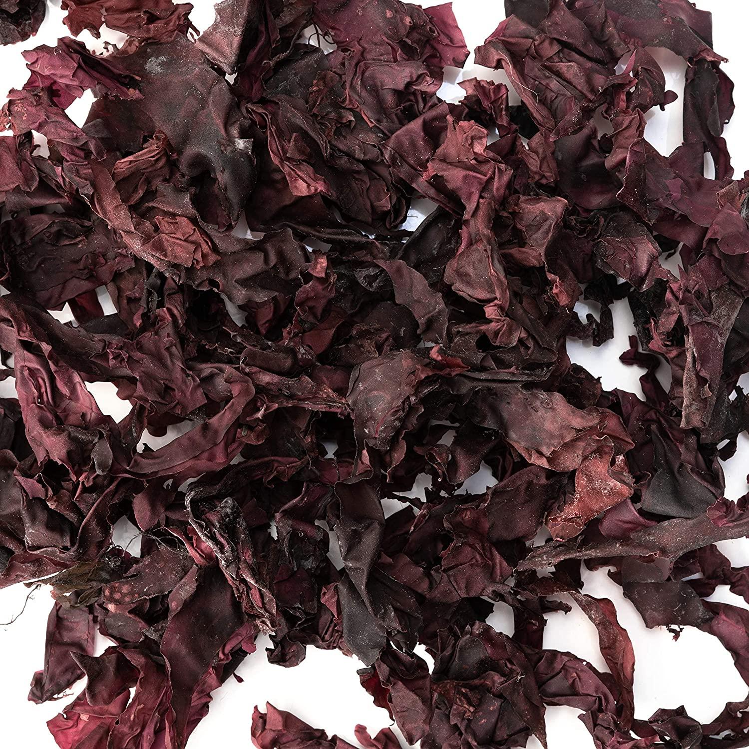 Organic Dulse Leaf from Atlantic Canada - Rich in Iodine and Protein ...