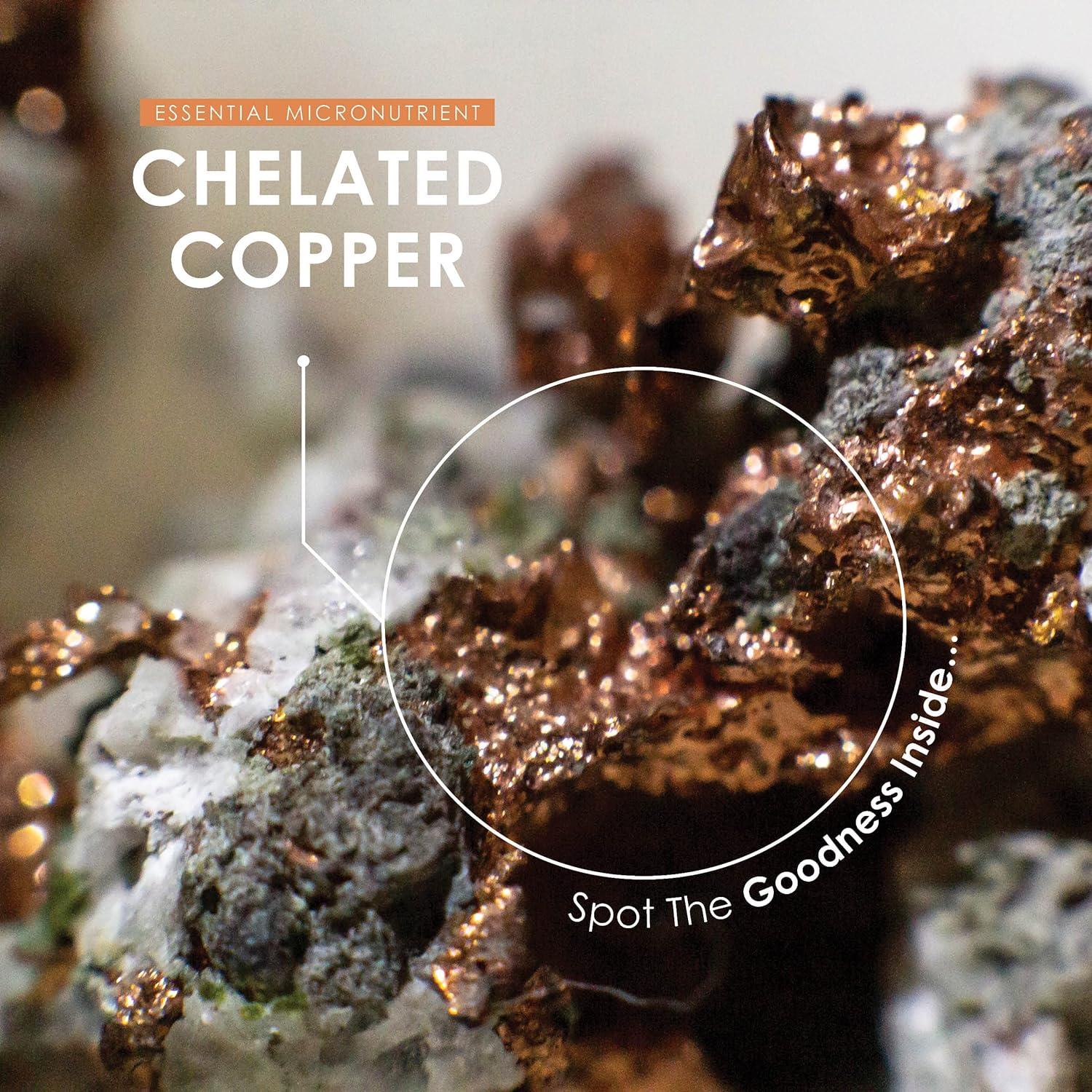 Chelated Copper 1mg with BioPerine - Energy & Immunity Support - 120 ...