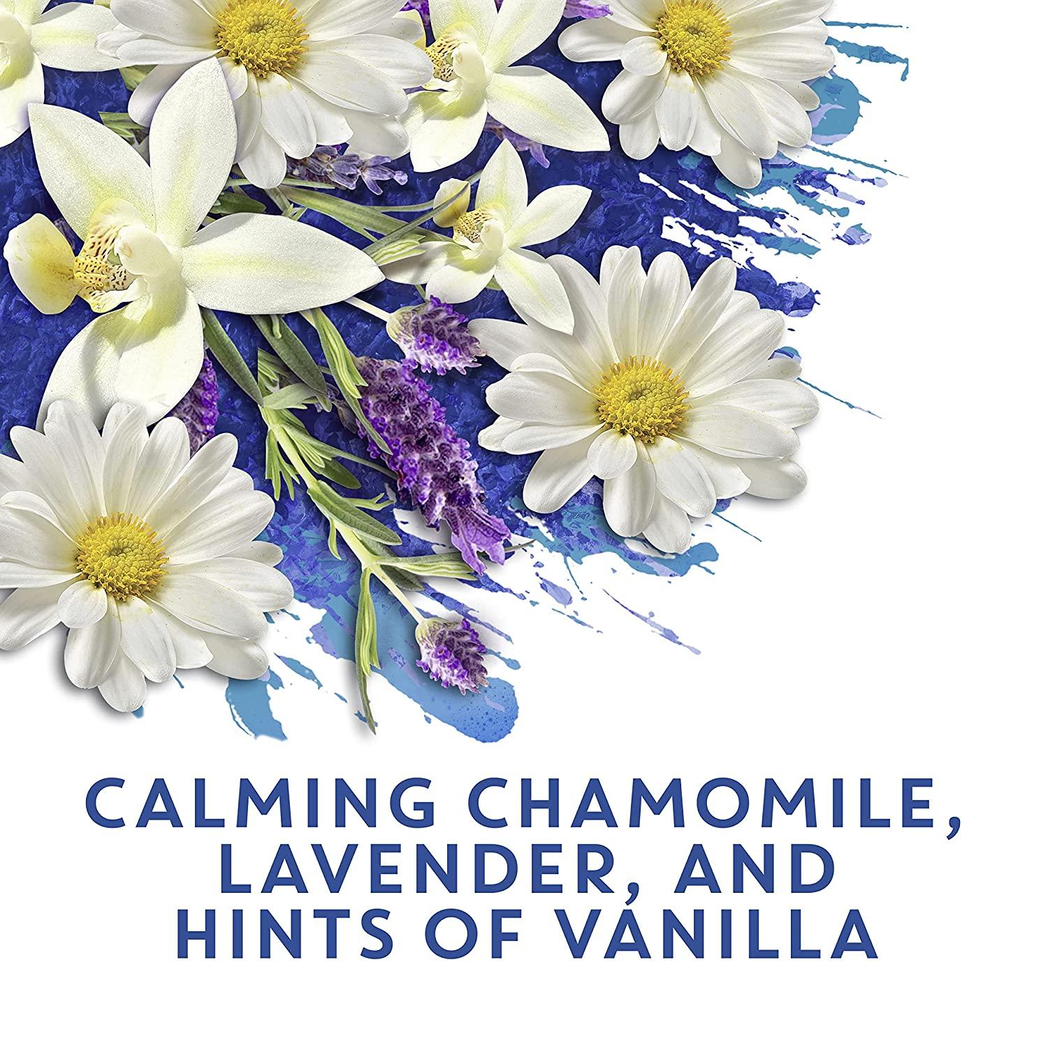 Tazo Dream Herbal Tea - 20 Tea Bags (1.41 oz) | Soothing & Relaxing ...