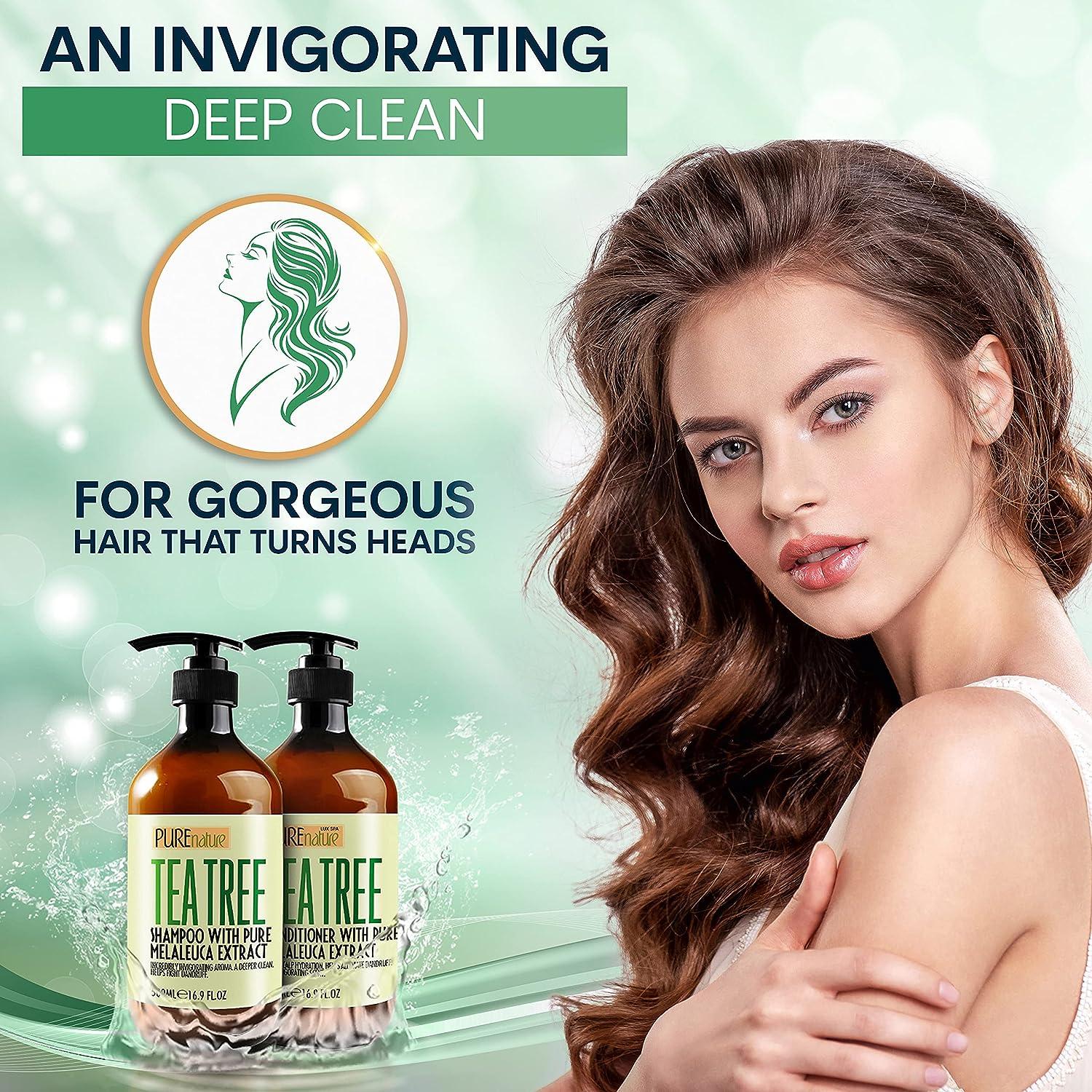 Tea Tree Shampoo & Conditioner Set - Sulfate Free, Anti-Dandruff Scalp ...