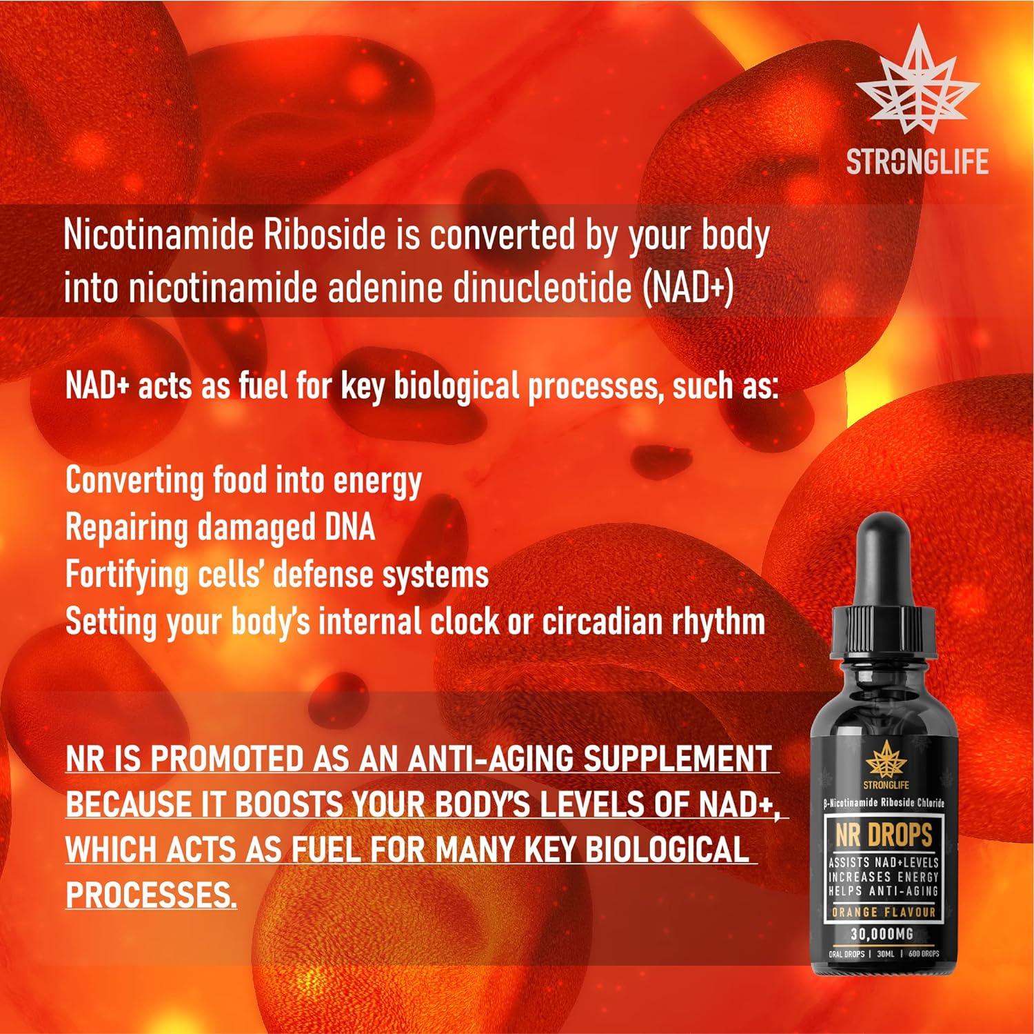 STRONGLIFE NR Liquid Drops - 30ml | Nicotinamide Riboside Supplement ...
