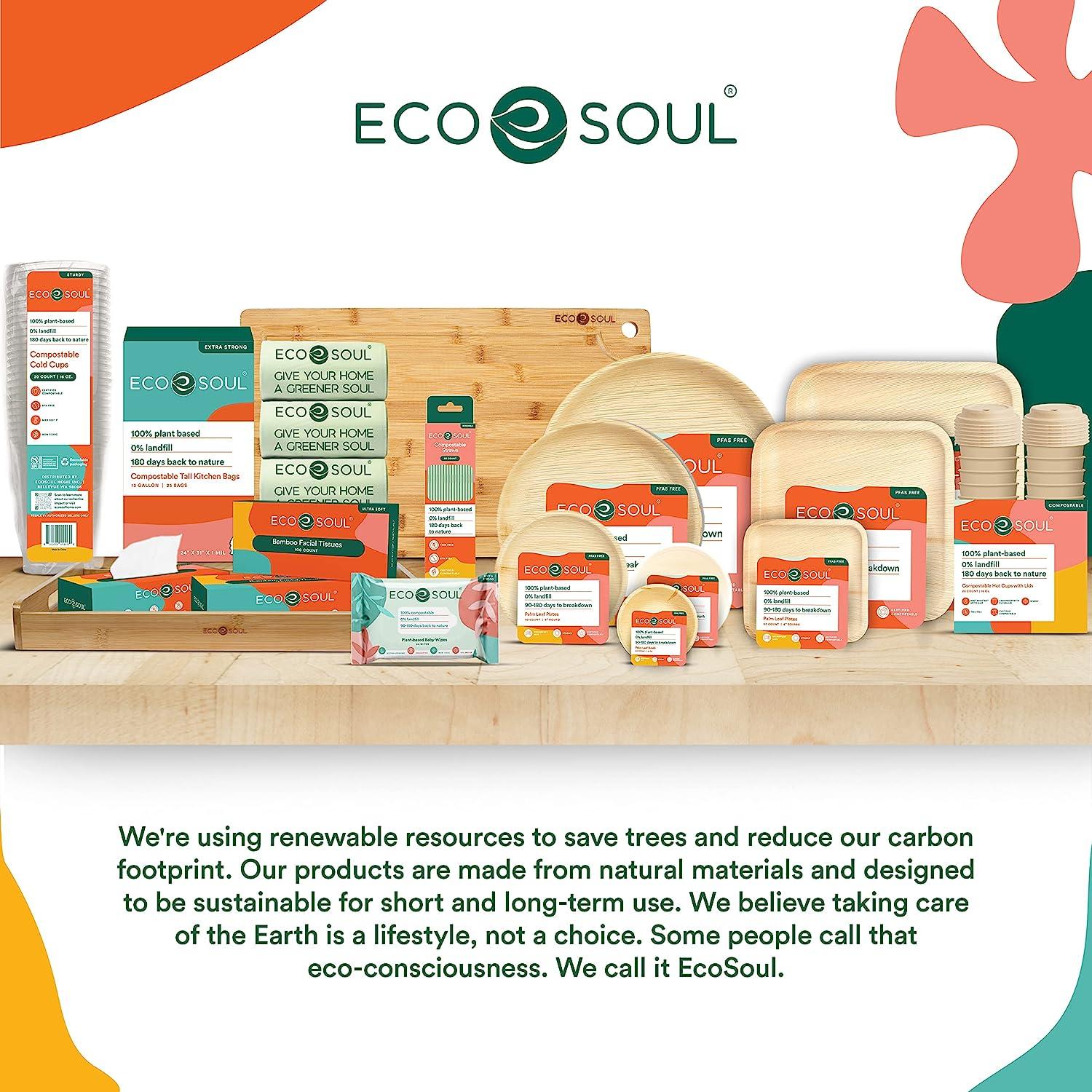 ECO SOUL 100% Compostable 10 Inch Palm Square Leaf Plates 50-Pack | Eco ...