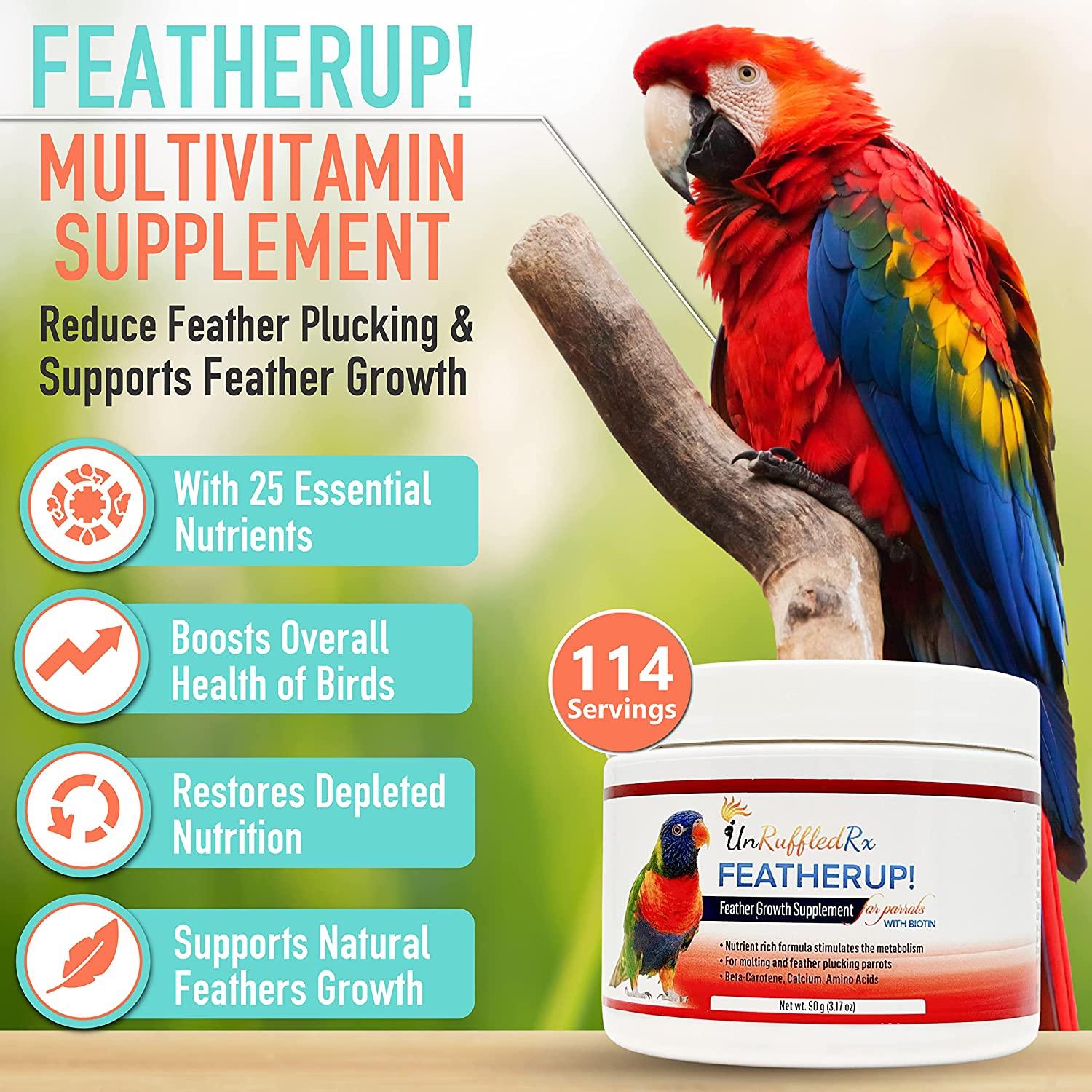 UnRuffledRx FeatherUp! Bird Multivitamin with Biotin - 90 gm - 240 ...