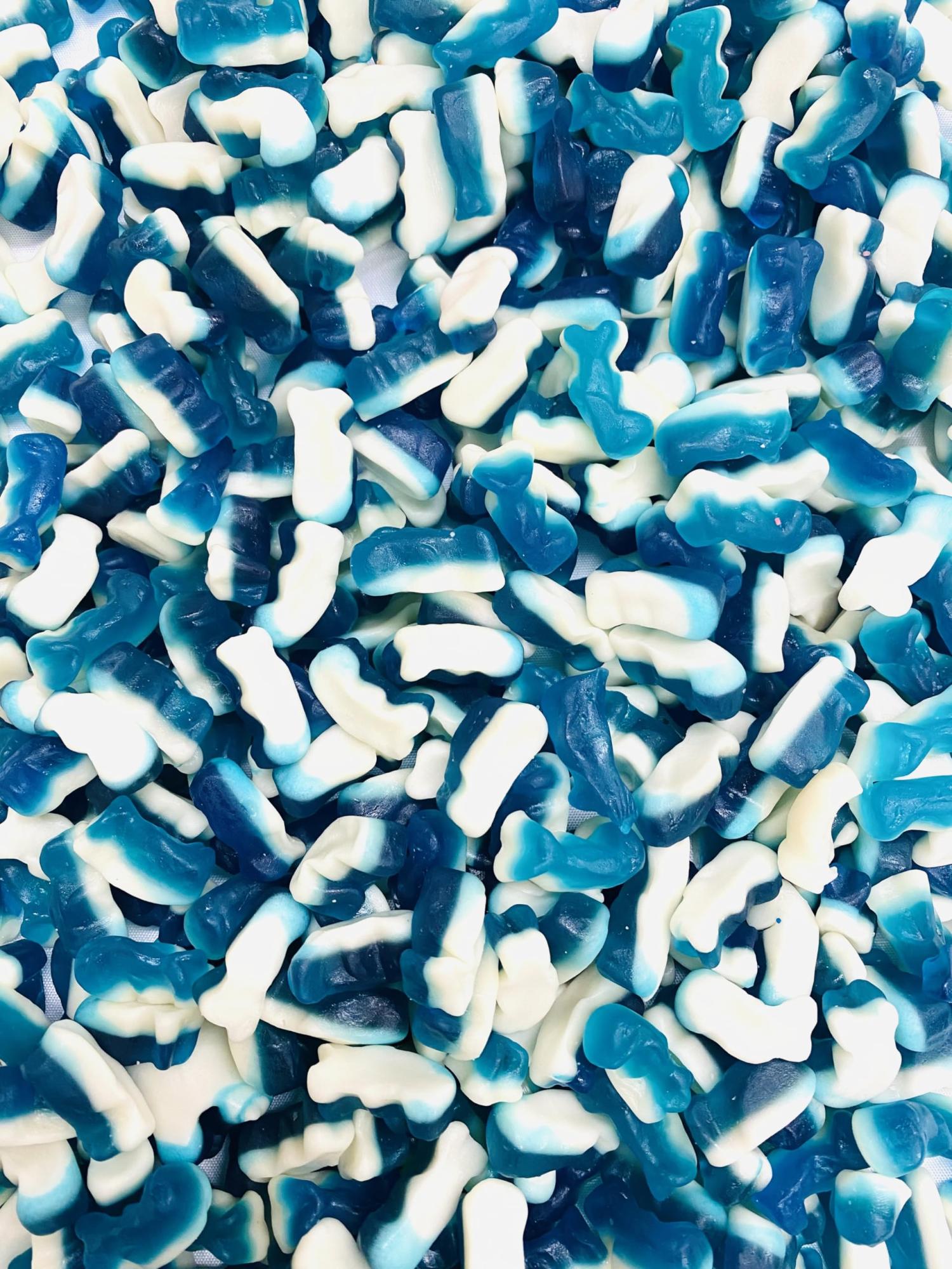 Gummy Fruit Flavour Jelly Mini Dolphin Sweets - 1KG Bag - Dolphin ...