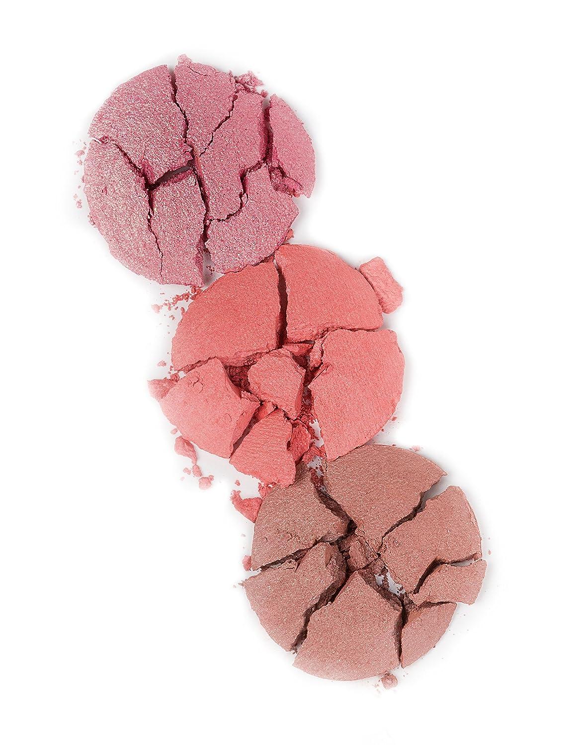 RealHer Everyday Blush Kit: Shimmers, Bronzer, Highlighting Cheek Color ...