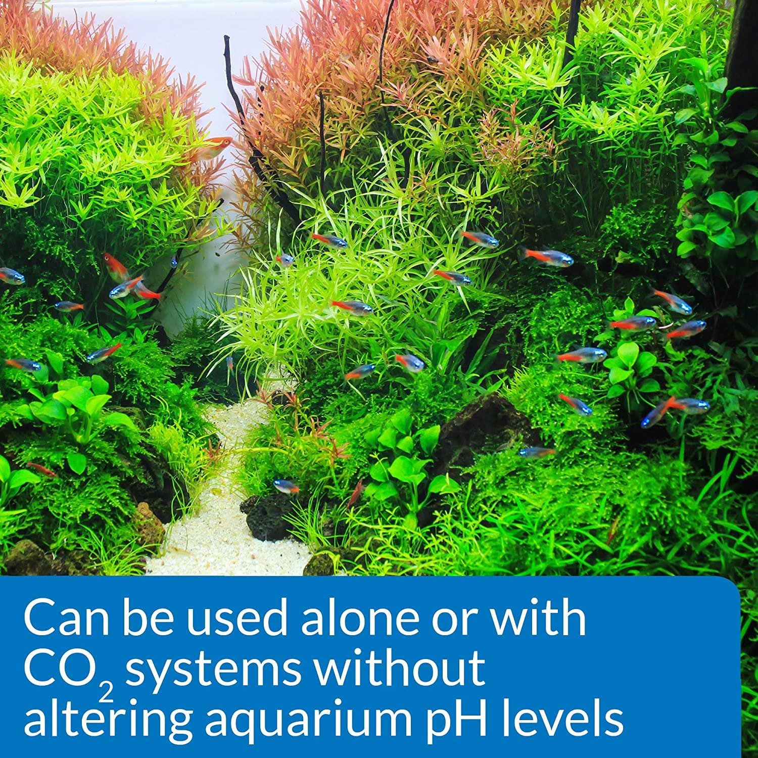 API Co2 Booster 8 fl oz - Freshwater Aquarium Plant Treatment | Buy Now ...