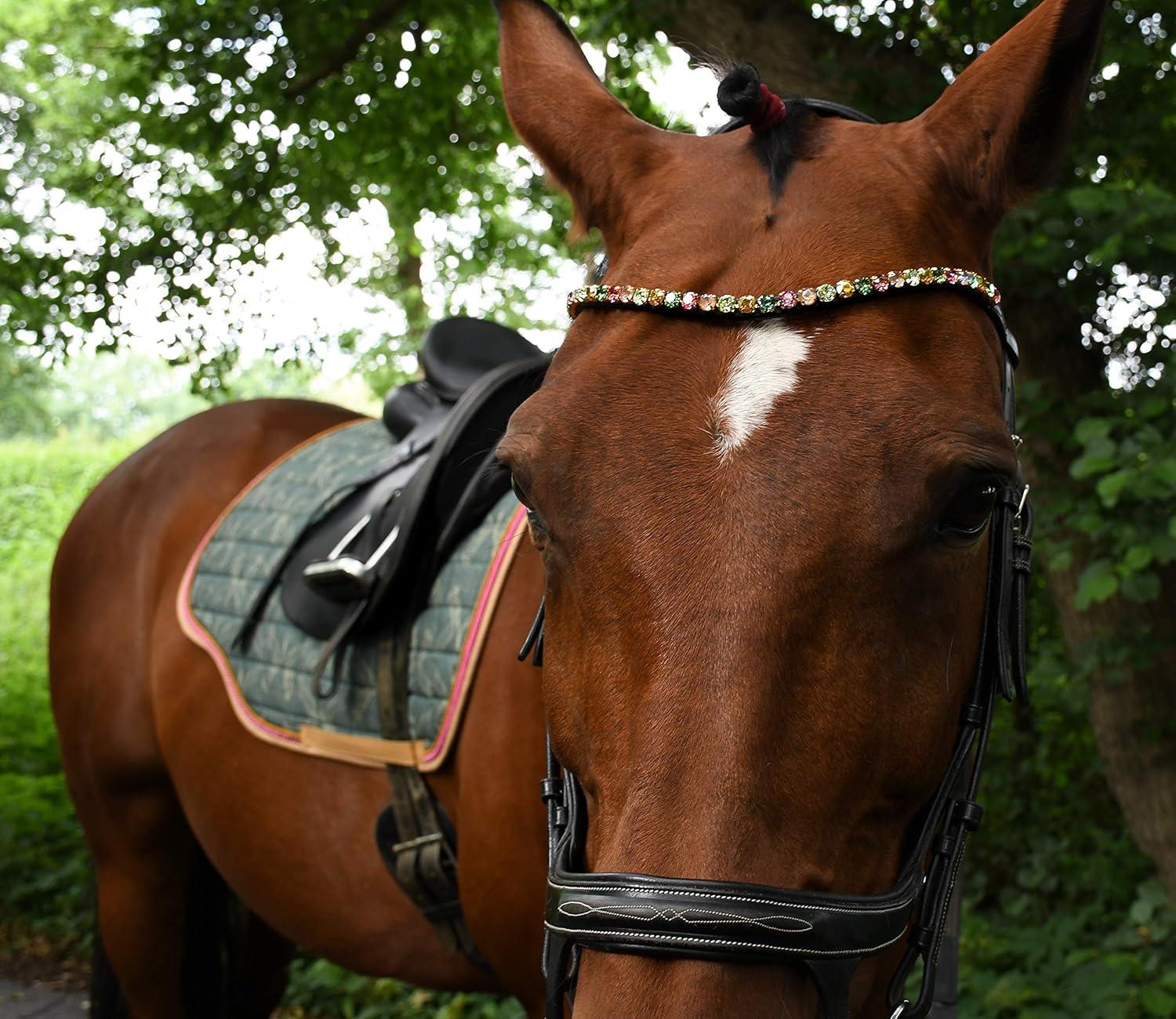Colorful Happiness Hinge Horses Forehead Straps 'Paradise' - Pink Green ...