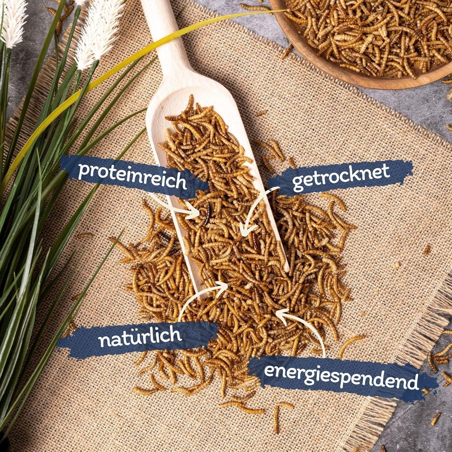 Lyra PET 10L Dried Mealworms | High-Protein Natural Food for Birds ...