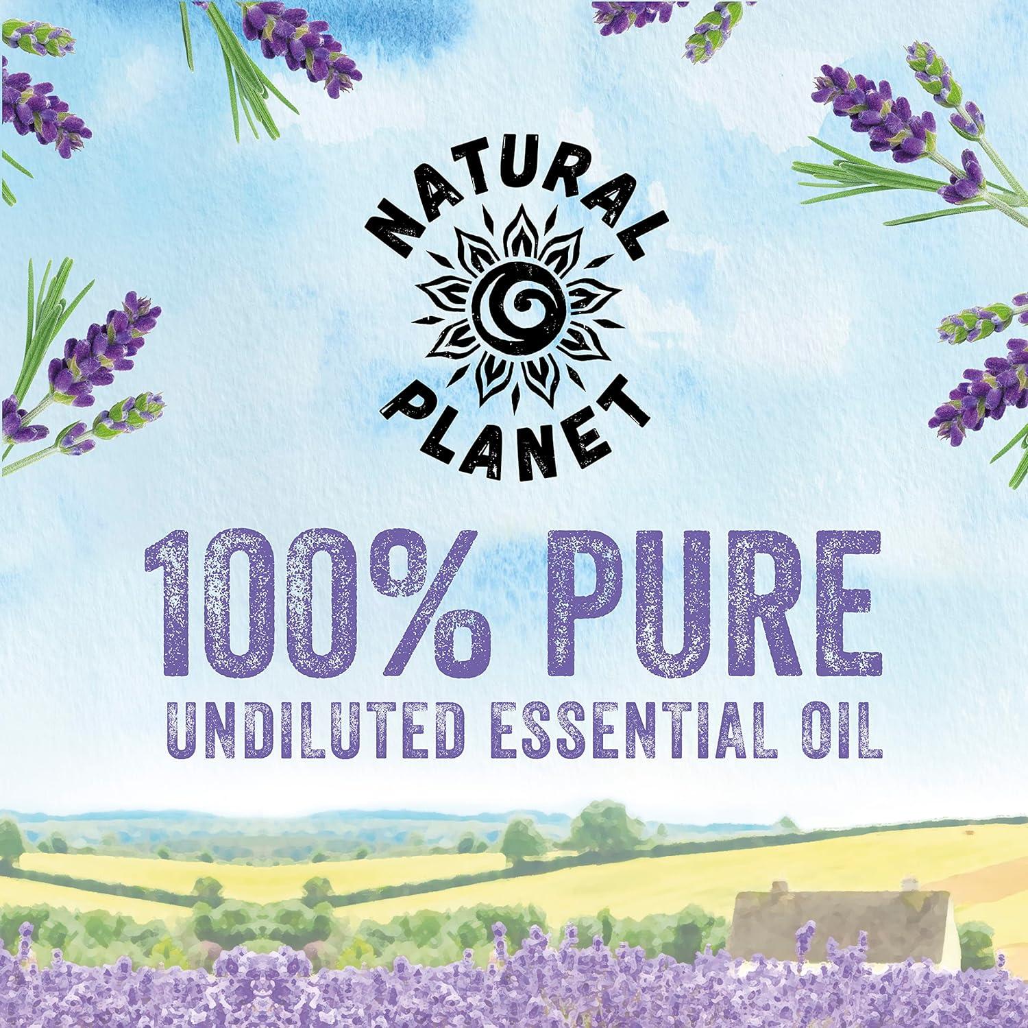 English Cotswold Lavender 15ML Essential Oil - 100% Pure, Undiluted ...