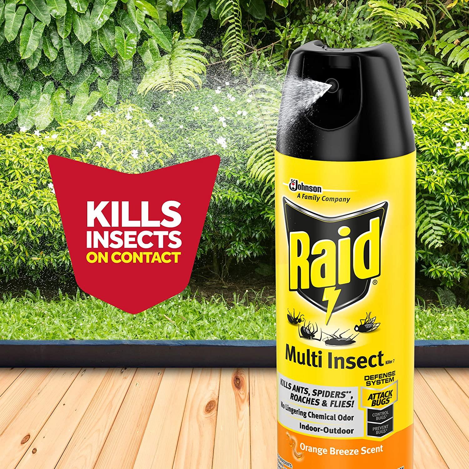 Raid Multi Insect Killer 15 oz - Kills Ants, Spiders, Roaches, and ...