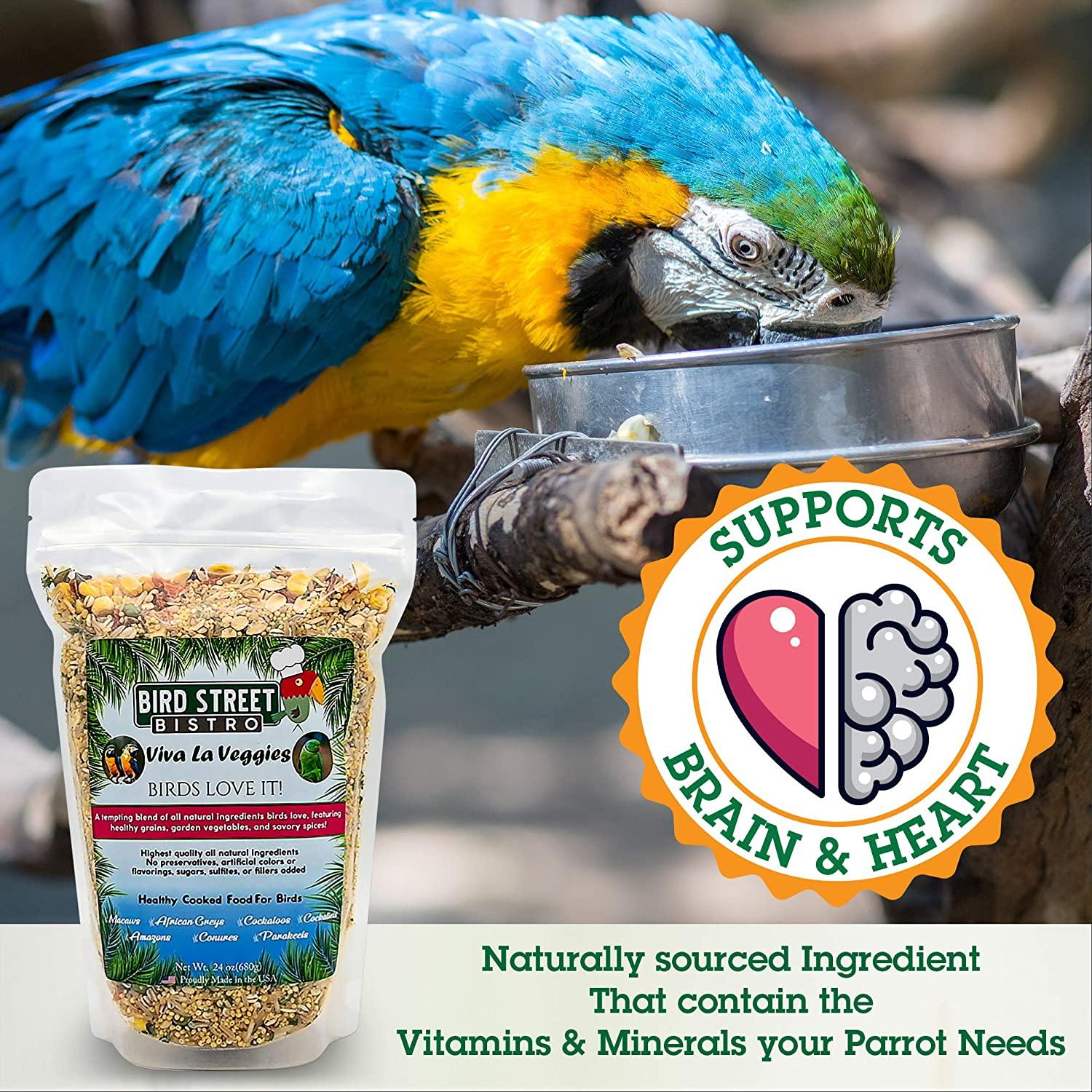 Bird Street Bistro Parrot Food - Parakeet Food - Cockatiel Food - Bird ...