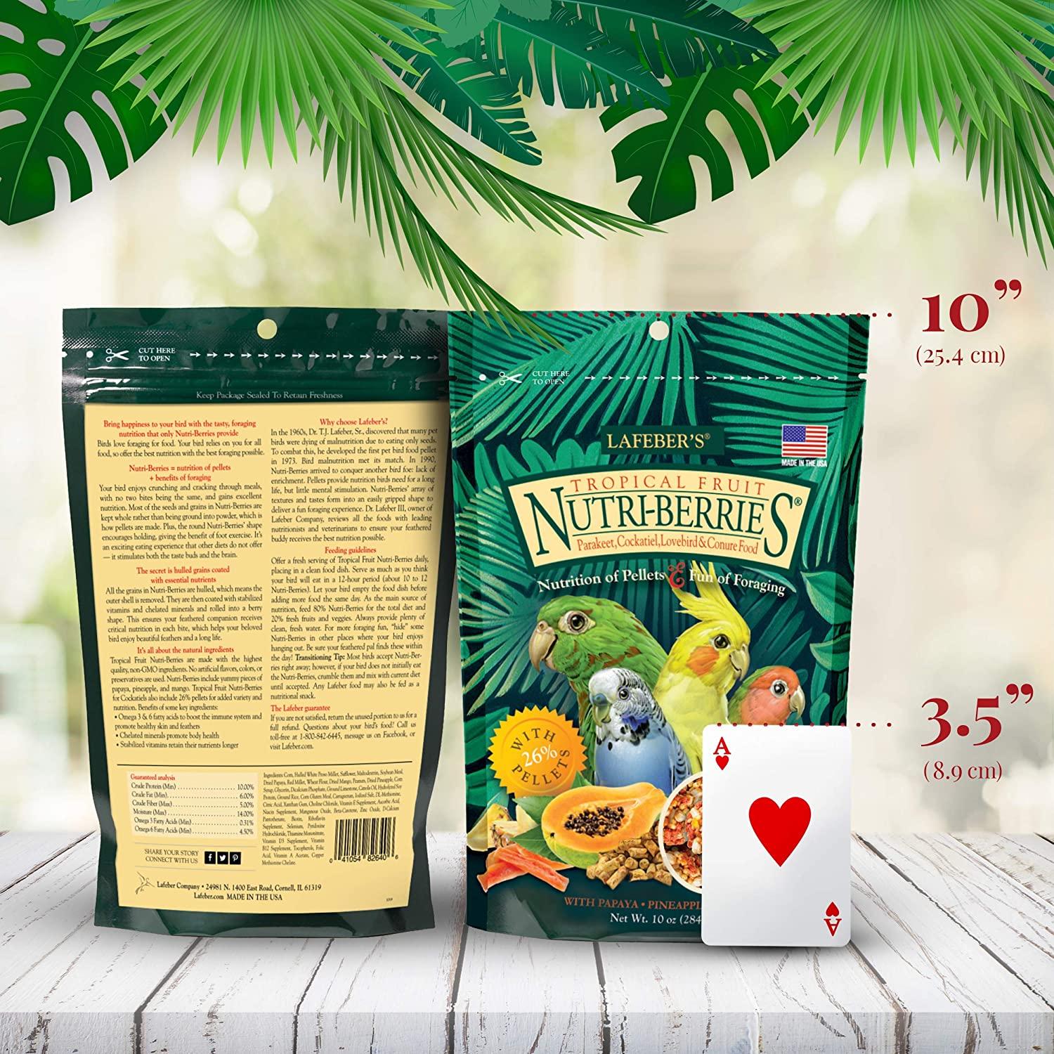 Lafeber's Tropical Fruit Nutri-Berries 10oz for Keets, Tiels, Lovebirds & Conures | Buy Now with ...