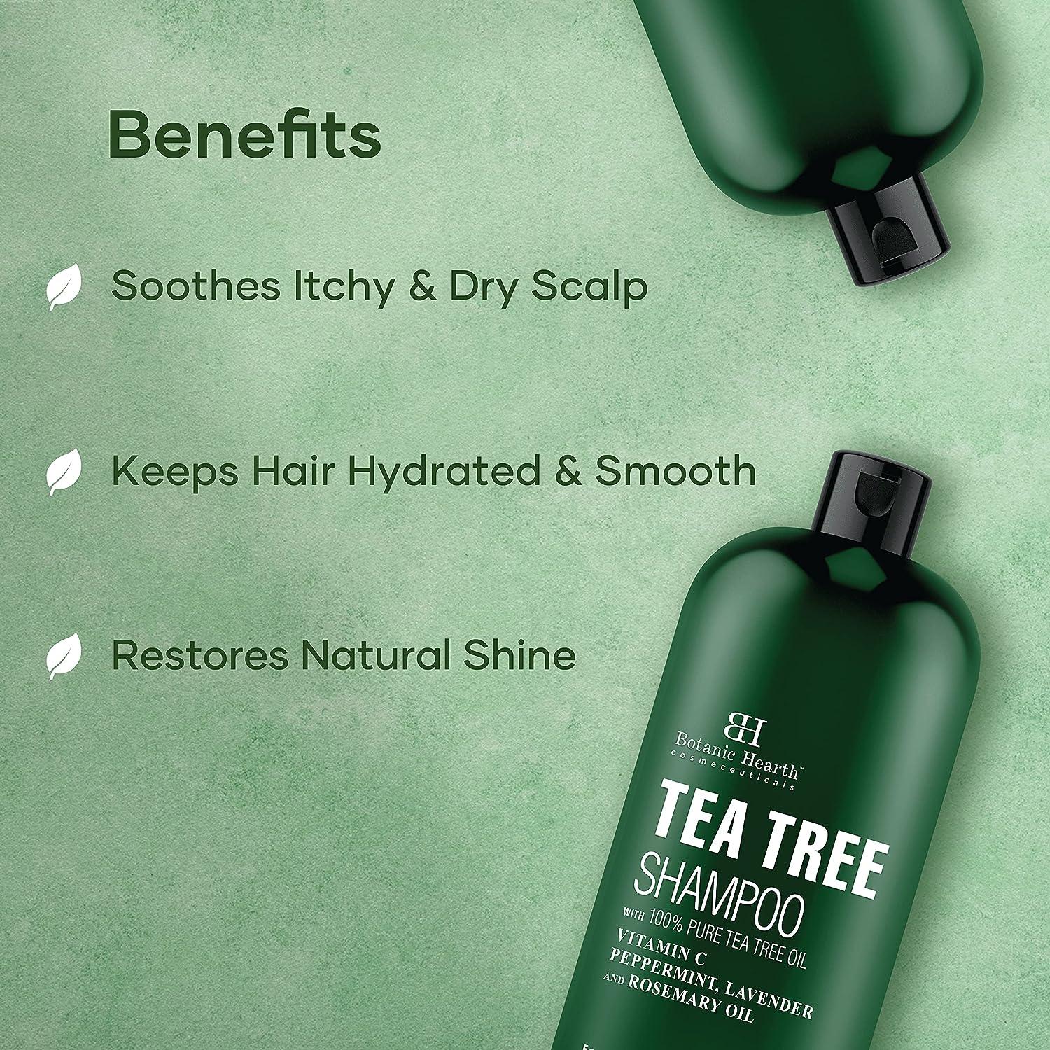 Botanic Hearth Tea Tree Shampoo with Vitamin C - Fights Dandruff & Dry ...