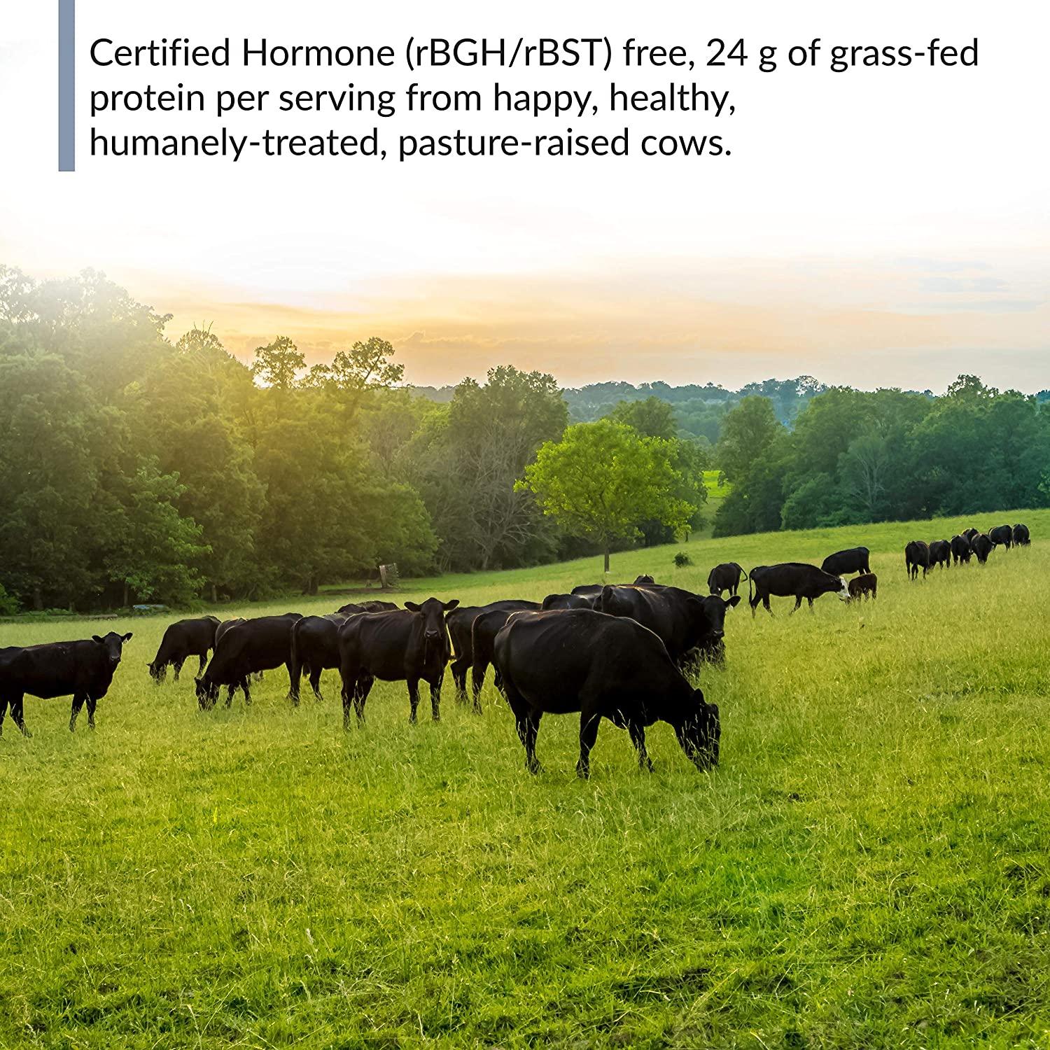 BioTrust Low Carb Protein Powder - Grass-Fed Whey/Casein Blend, Non-GMO ...