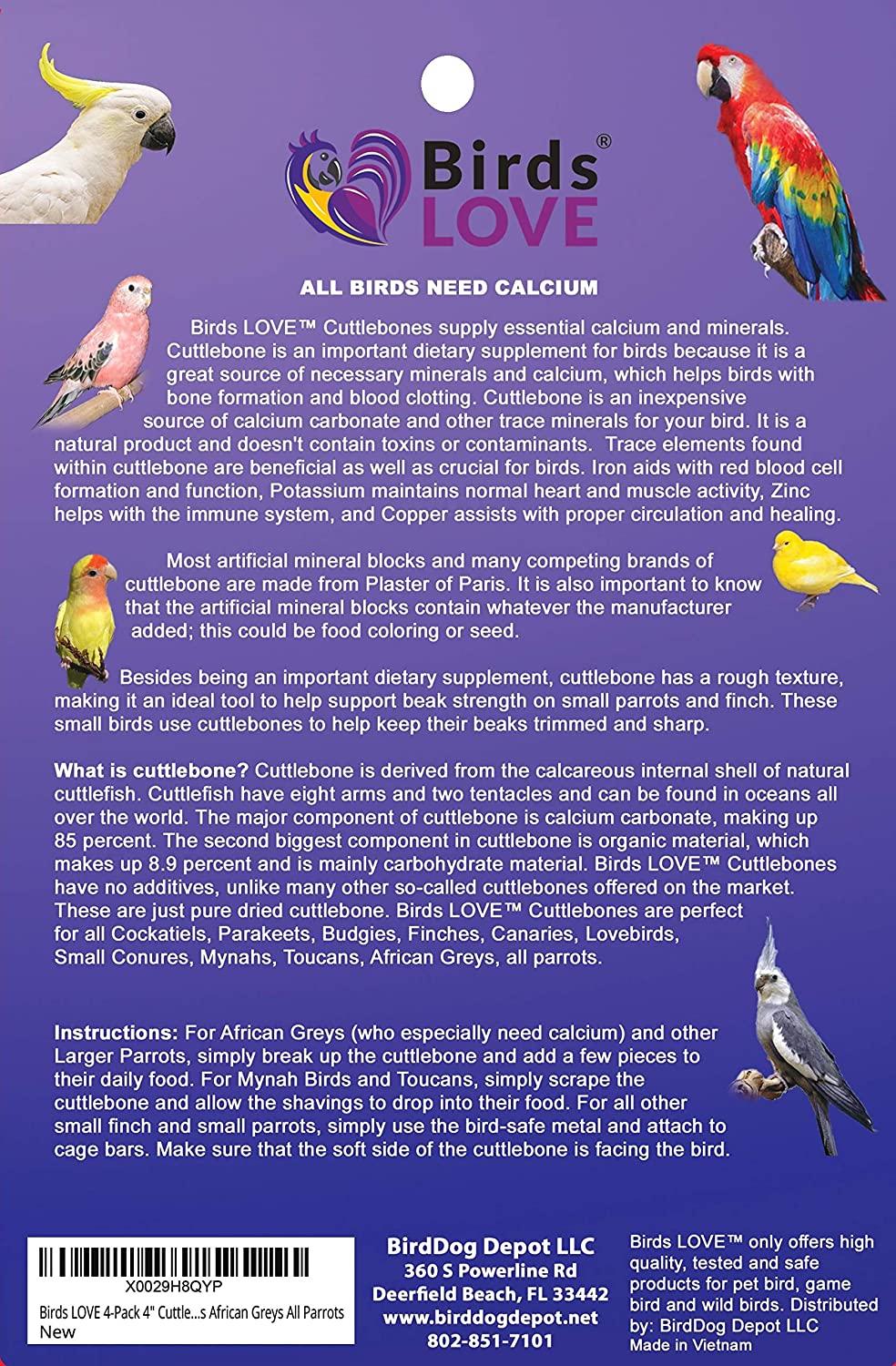 Pack of 4 Medium Cuttlebones for Birds, Tortoise, Snails, and Parakeets ...