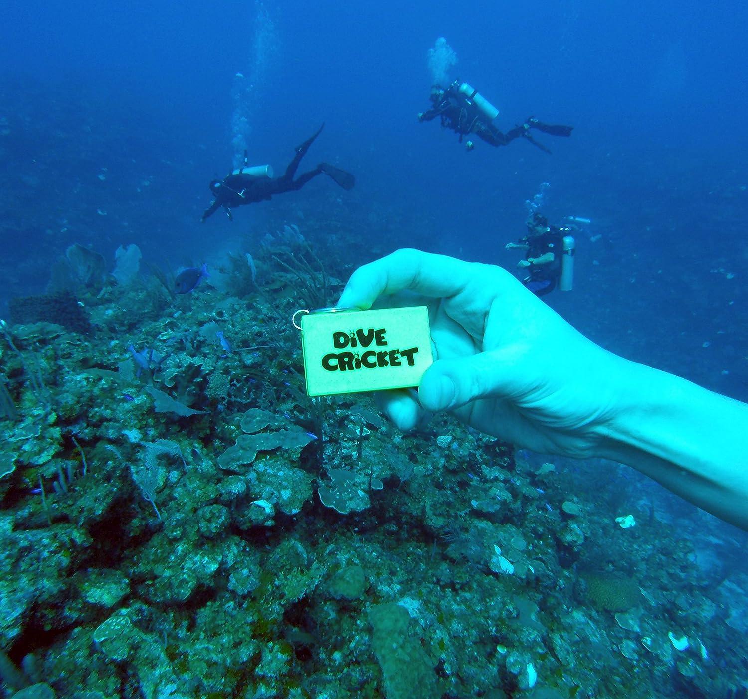 Underwater Communication Device for Divers - Dive Cricket (1 Pack ...