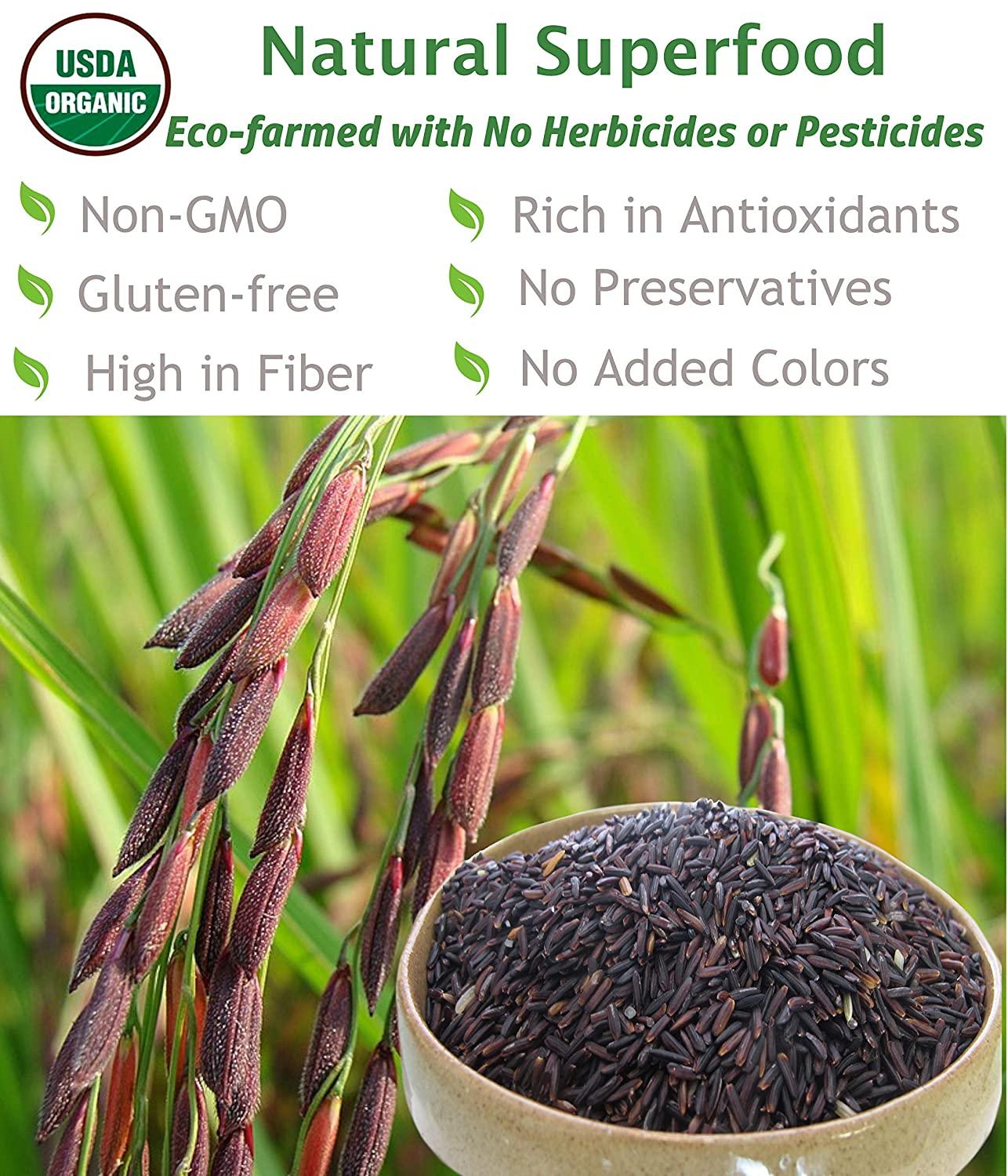 Organic Riceberry Rice 2 LB - Purple Thai Black Jasmine Rice - Small ...