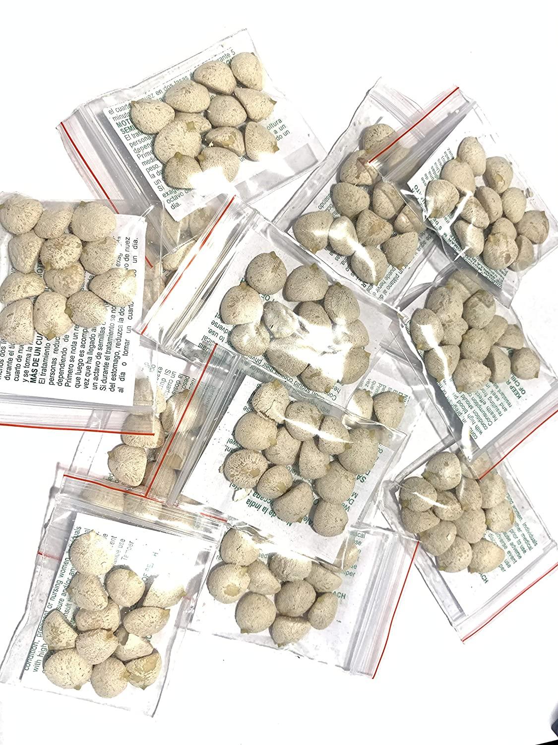 5 Pack Indian Nut 60 Seeds for Weight Loss - Original Indian Seed for ...