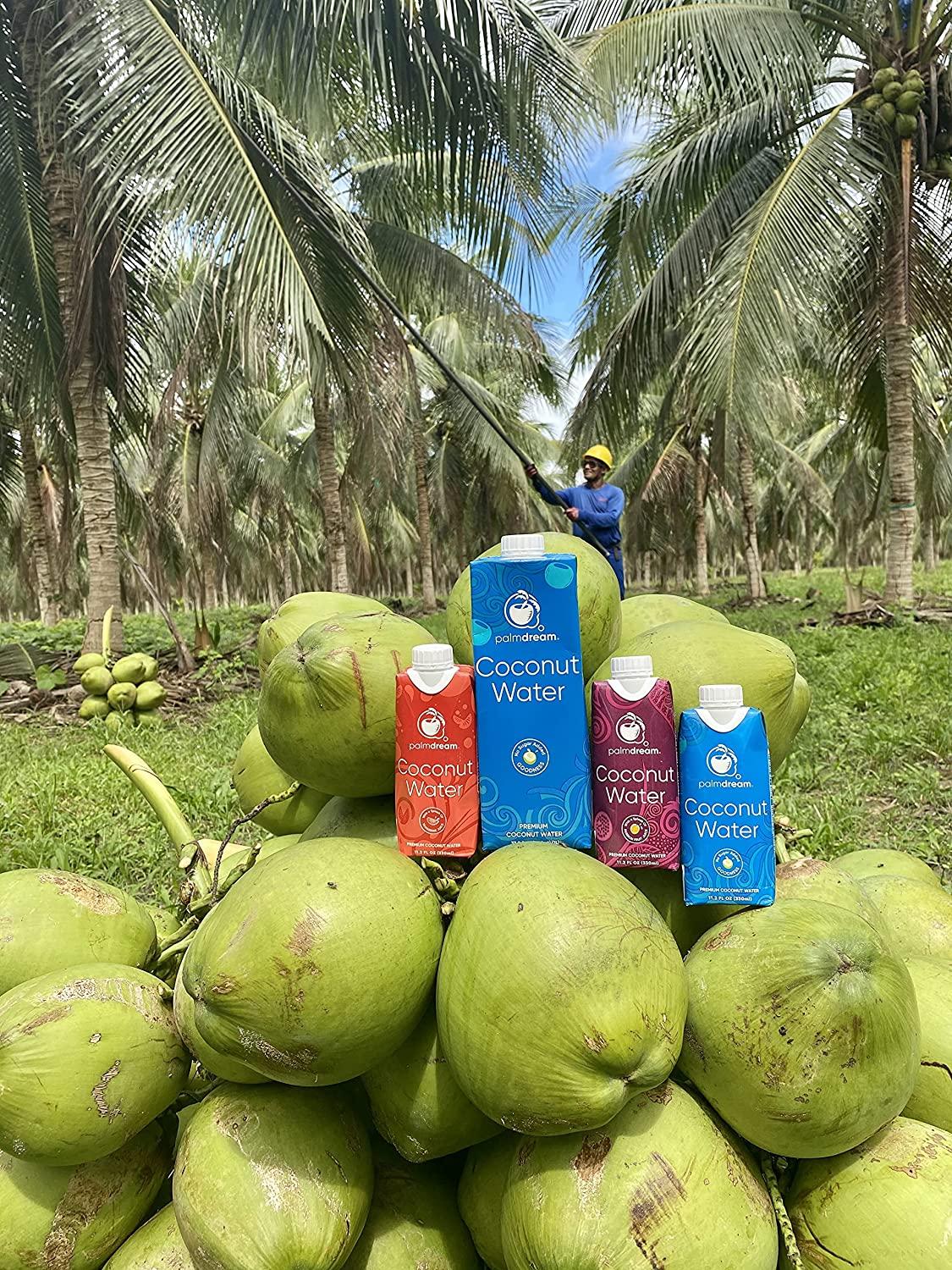 Palmdream Coconut Water - No Sugar Added | Premium Non-GMO Coconut ...