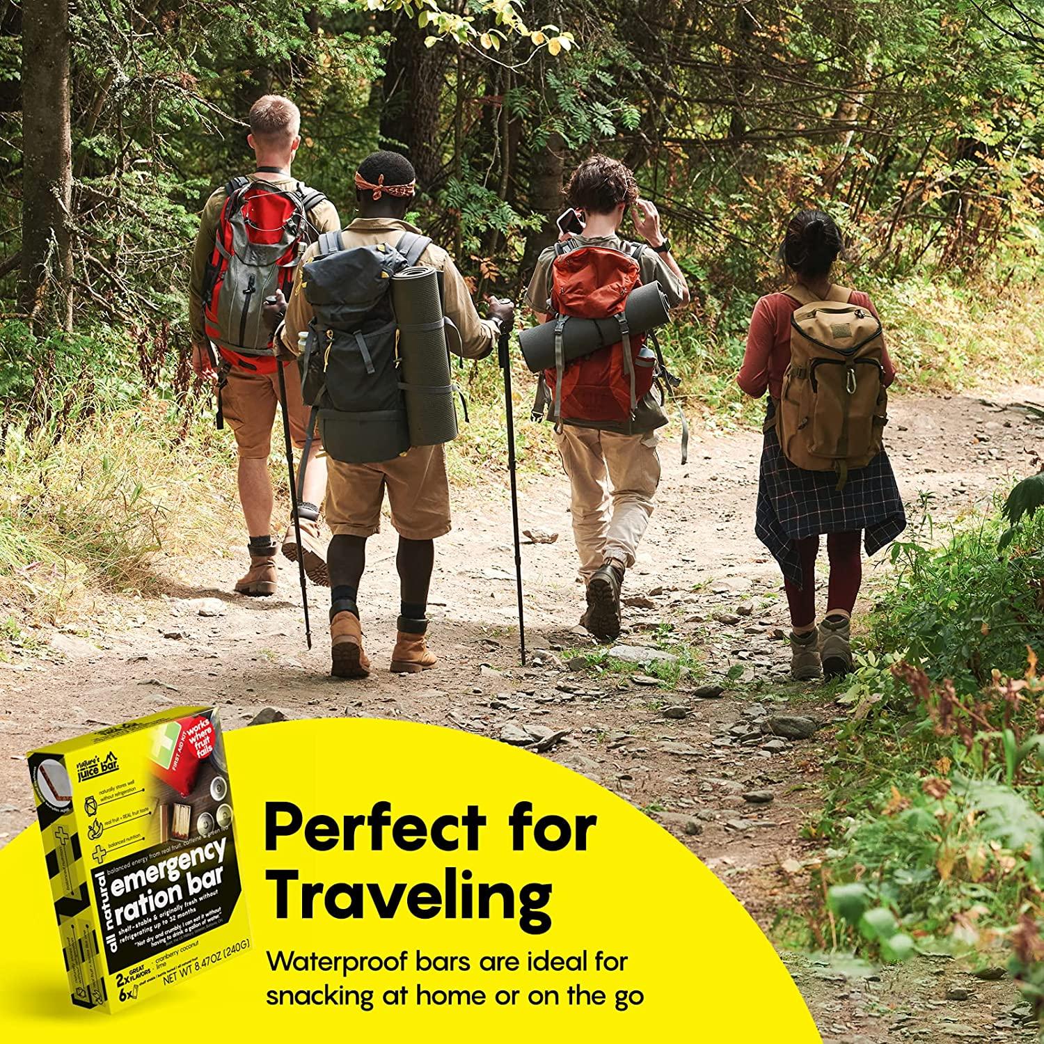 Natures Juice Bar Emergency Food Bars - 6 Count, Gluten-Free Meal Replacement for Survival ...