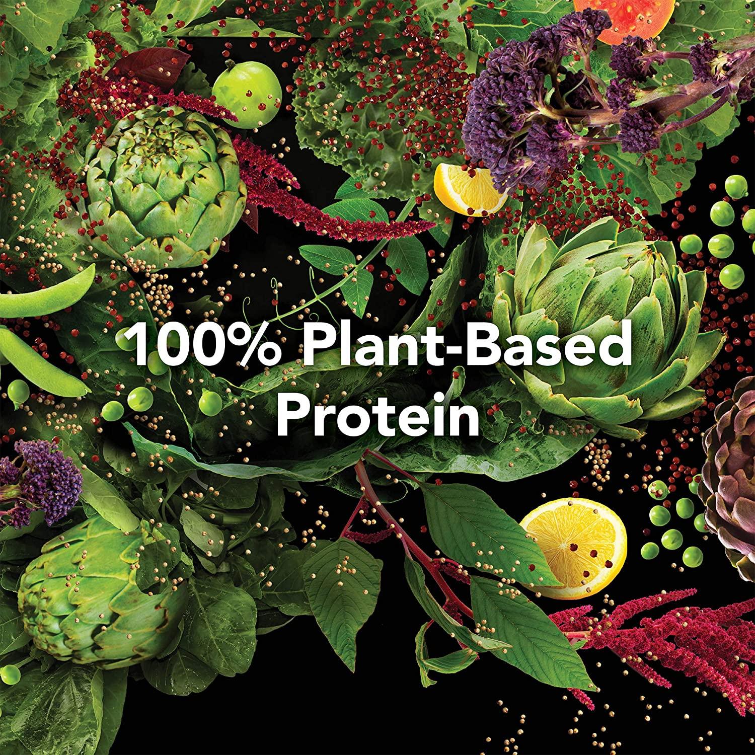 PlantFusion Complete Meal Protein Powder - Vegan, Gluten-Free, Non-GMO ...