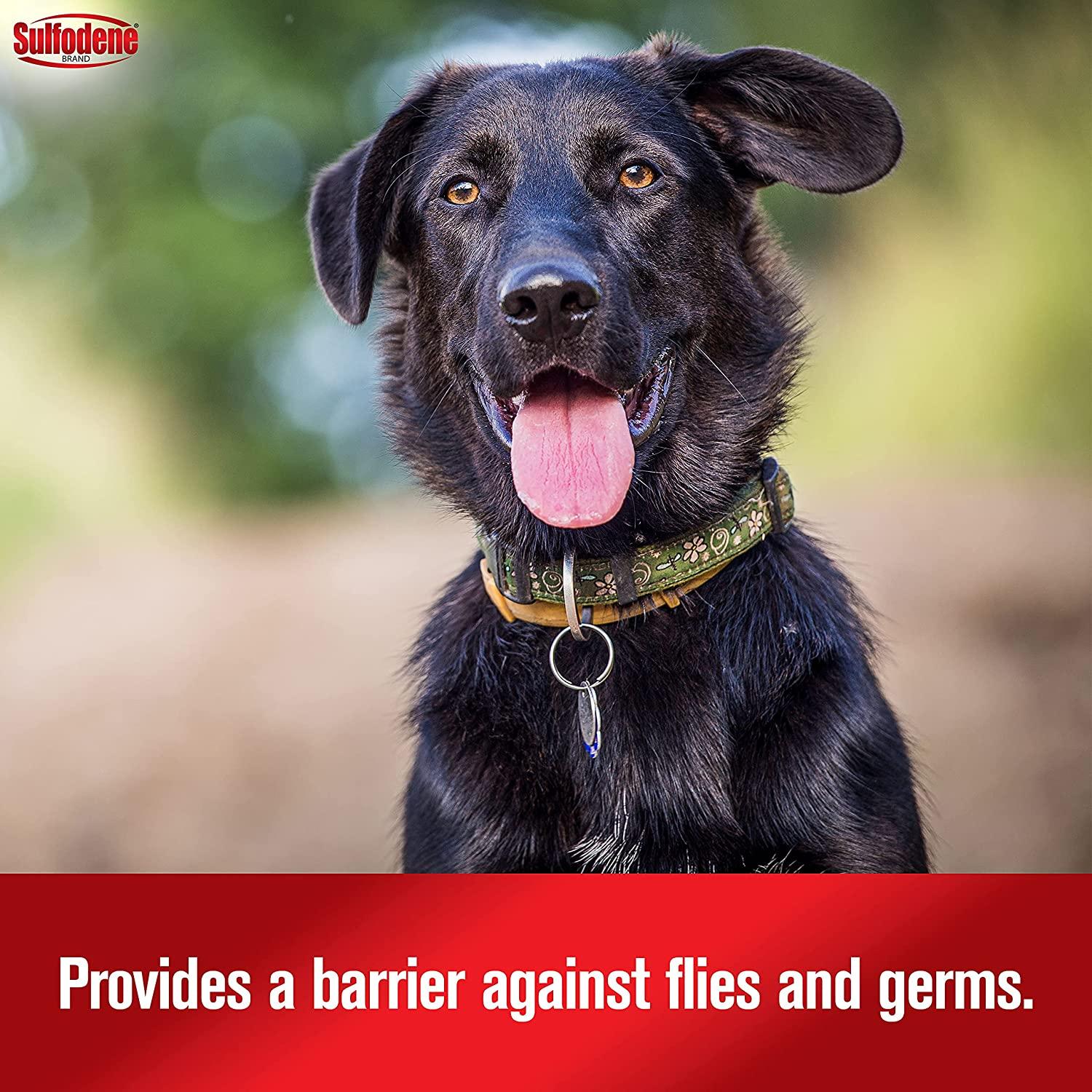 Sulfodene Dog Wound Care Ointment - Pain Relief & Infection Prevention ...