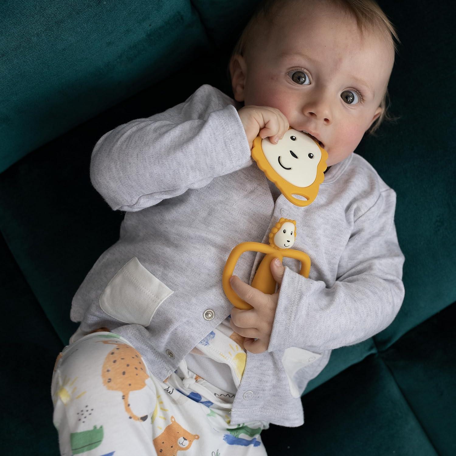 Matchstick Monkey Antimicrobial Teething Starter Set - Flat Face ...