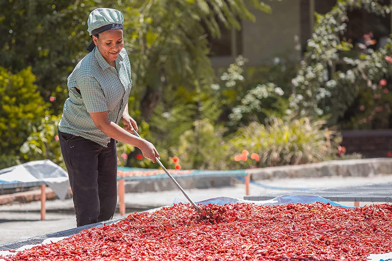 Mitmita - Authentic Ethiopian Spice Blend with Bird's Eye Chili Pepper ...