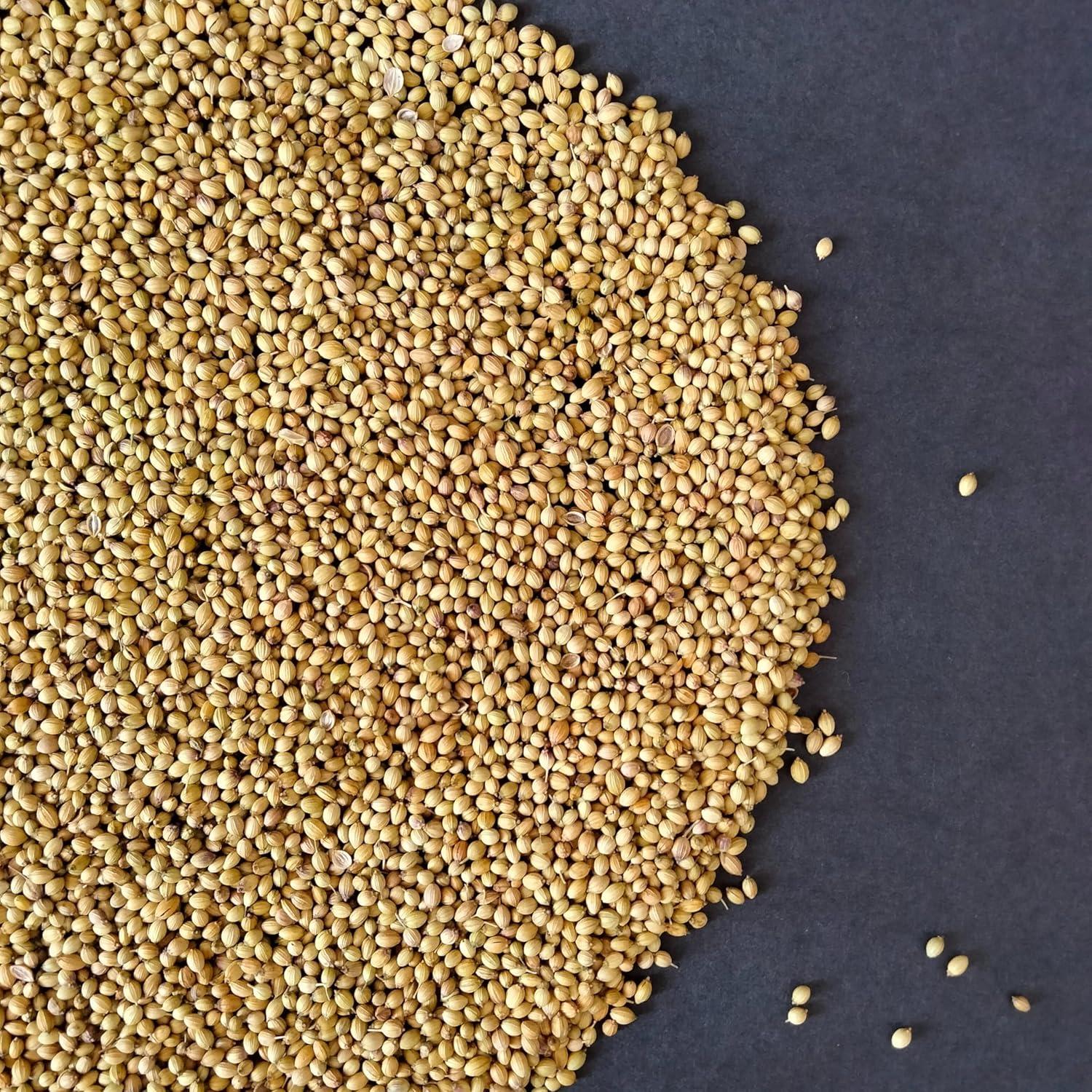 Organic Kamelur Millet (500g) - Premium Peeled Millet from Organic ...