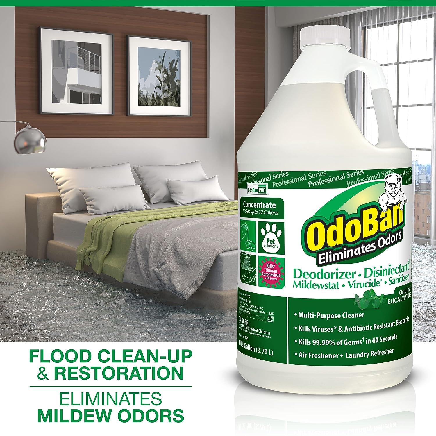 OdoBan Professional Disinfectant and Odor Eliminator Concentrate 1 ...