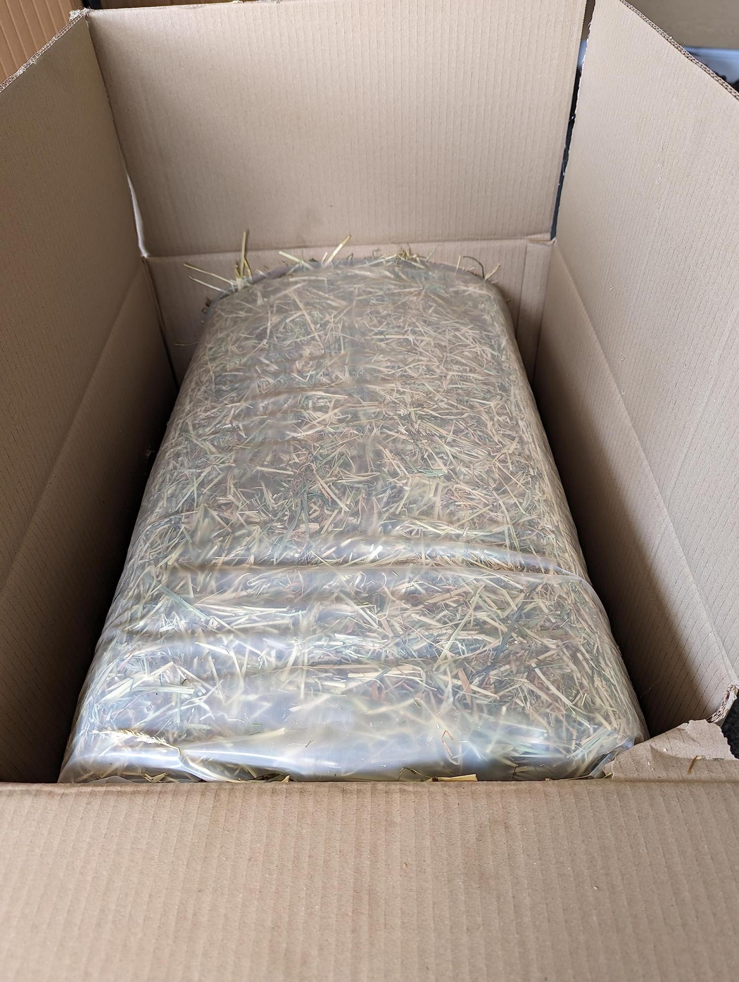 Haysoft Meadow Hay - 5KG Box - Animal Feeding Hay Box for Rabbits ...