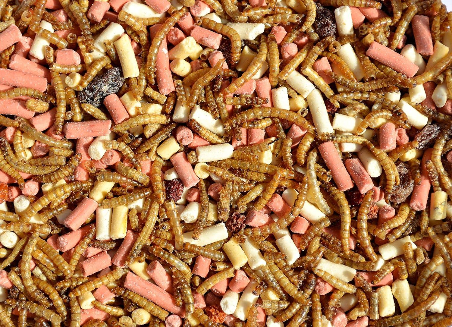 Supa Dried Mealworms Hi-Energy Suet Pellets & Fruit Platter Mix for ...