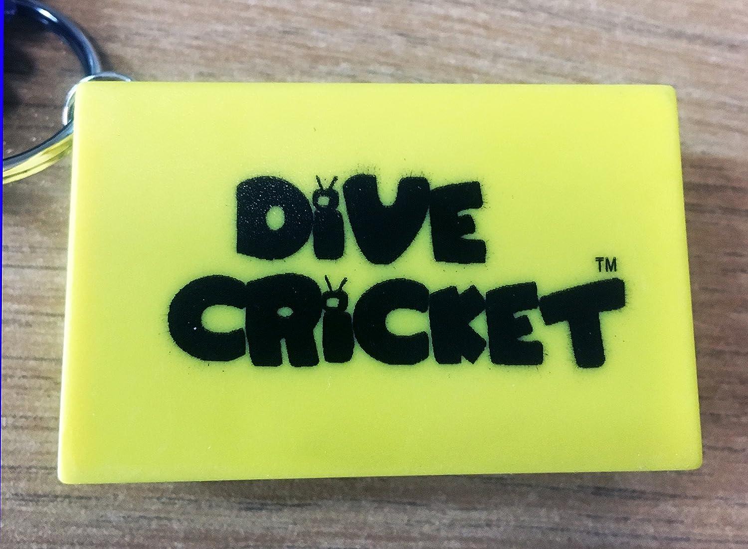 Underwater Communication Device for Divers - Dive Cricket (1 Pack ...