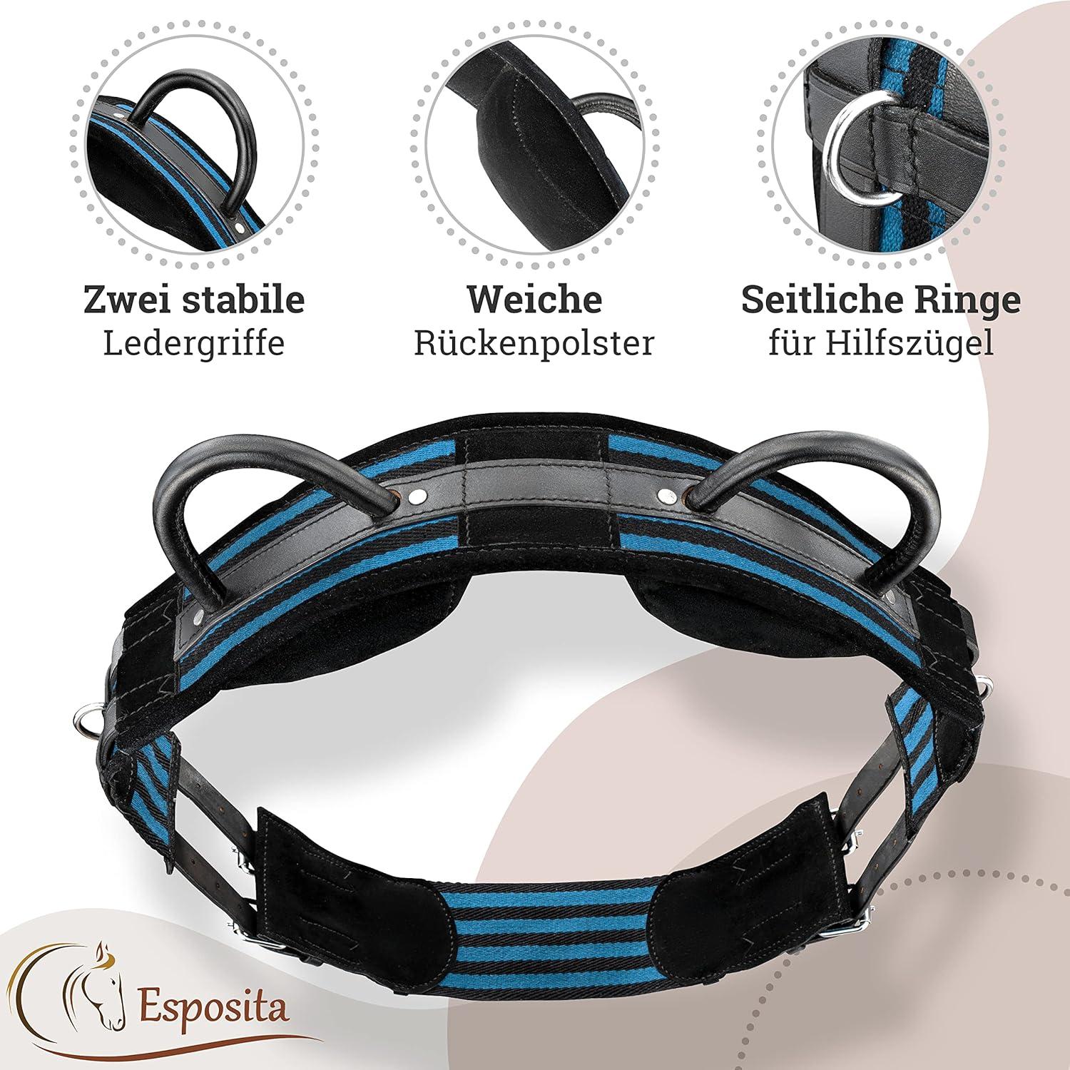 Esposita Riding Strap with Leather Handles - Versatile Lunging ...