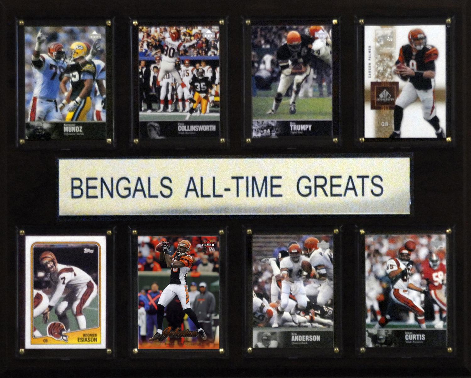 C&I Collectables NFL Indianapolis Colts All-Time Greats Plaque Bengals ...