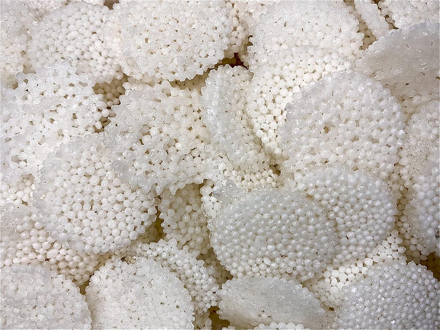 Navratri Special Food falahari Food vrat Fast Food| Veganic Sabudana ...