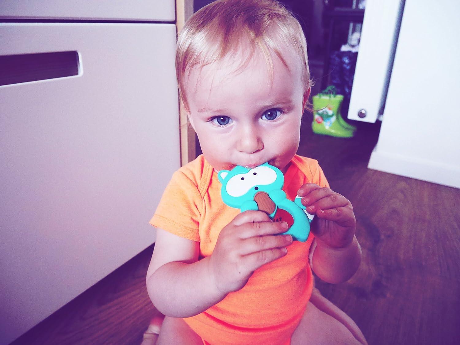 BPA-Free Raccoon Teething Ring & Pacifier | 7 Colors | Safe Chewing Toy ...