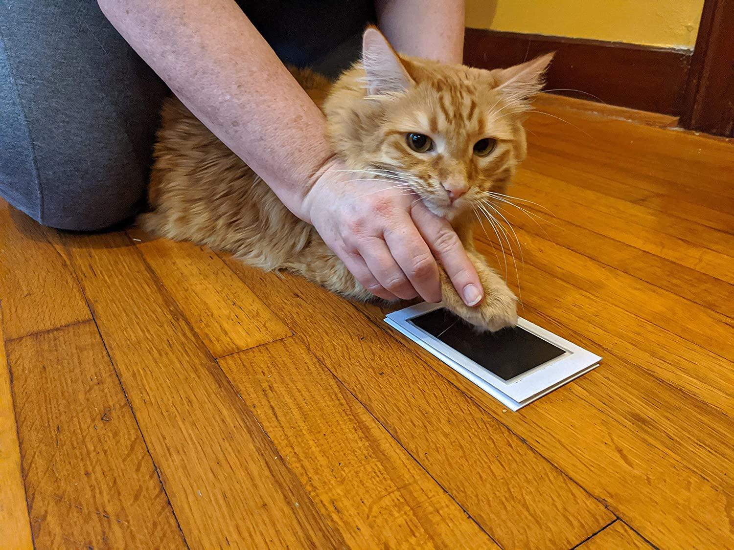 dog paw print dublin frame